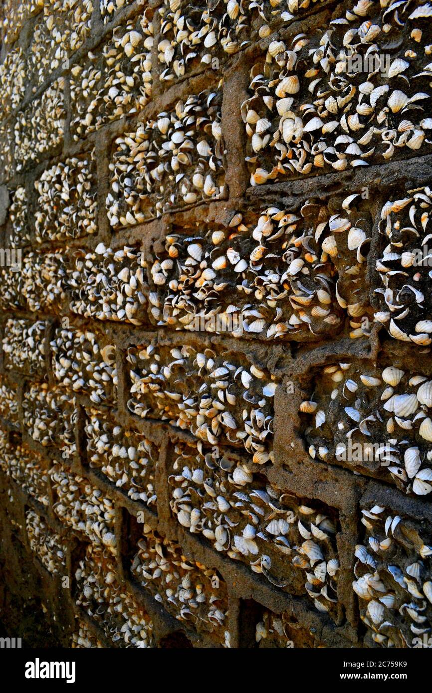 House made of shells, Joal Fadiouth, Senegal, West Africa Stock Photo ...