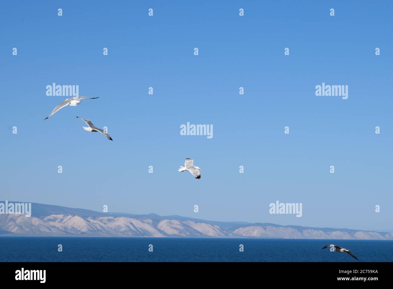 Flying over siberia hi-res stock photography and images - Alamy