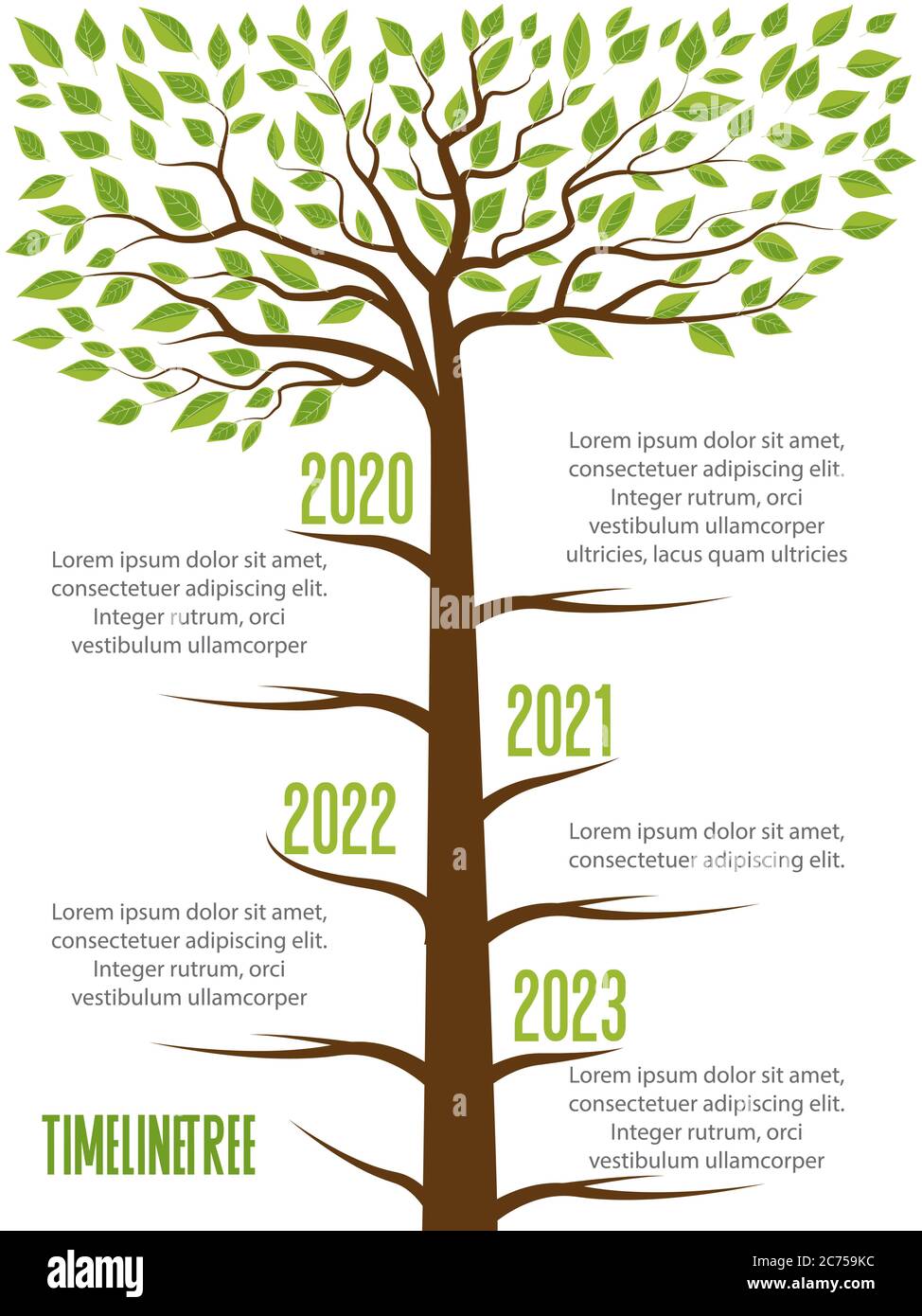 Timeline Trees with leaves Stock Vector Image & Art - Alamy