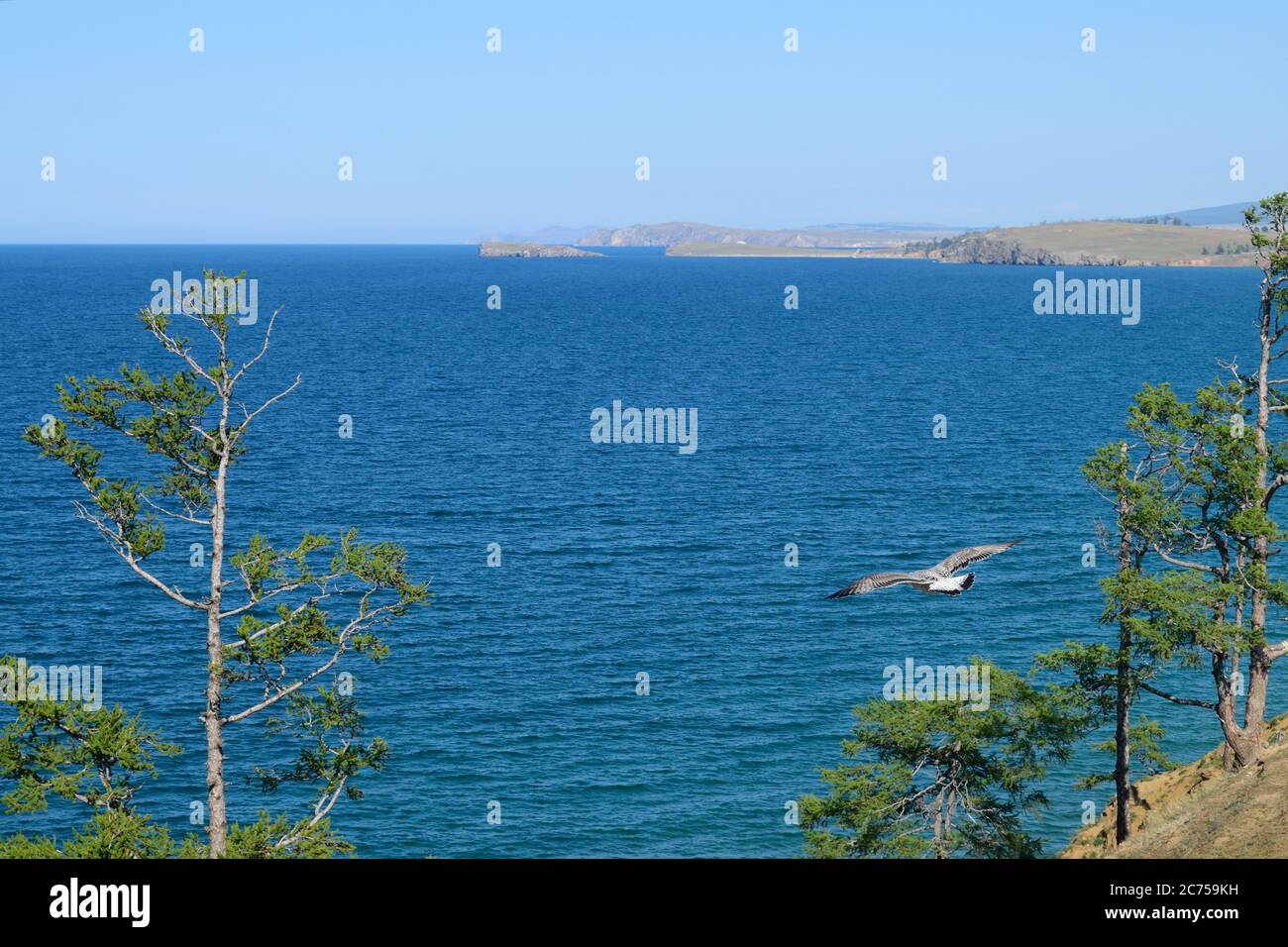 Flying over siberia hi-res stock photography and images - Alamy