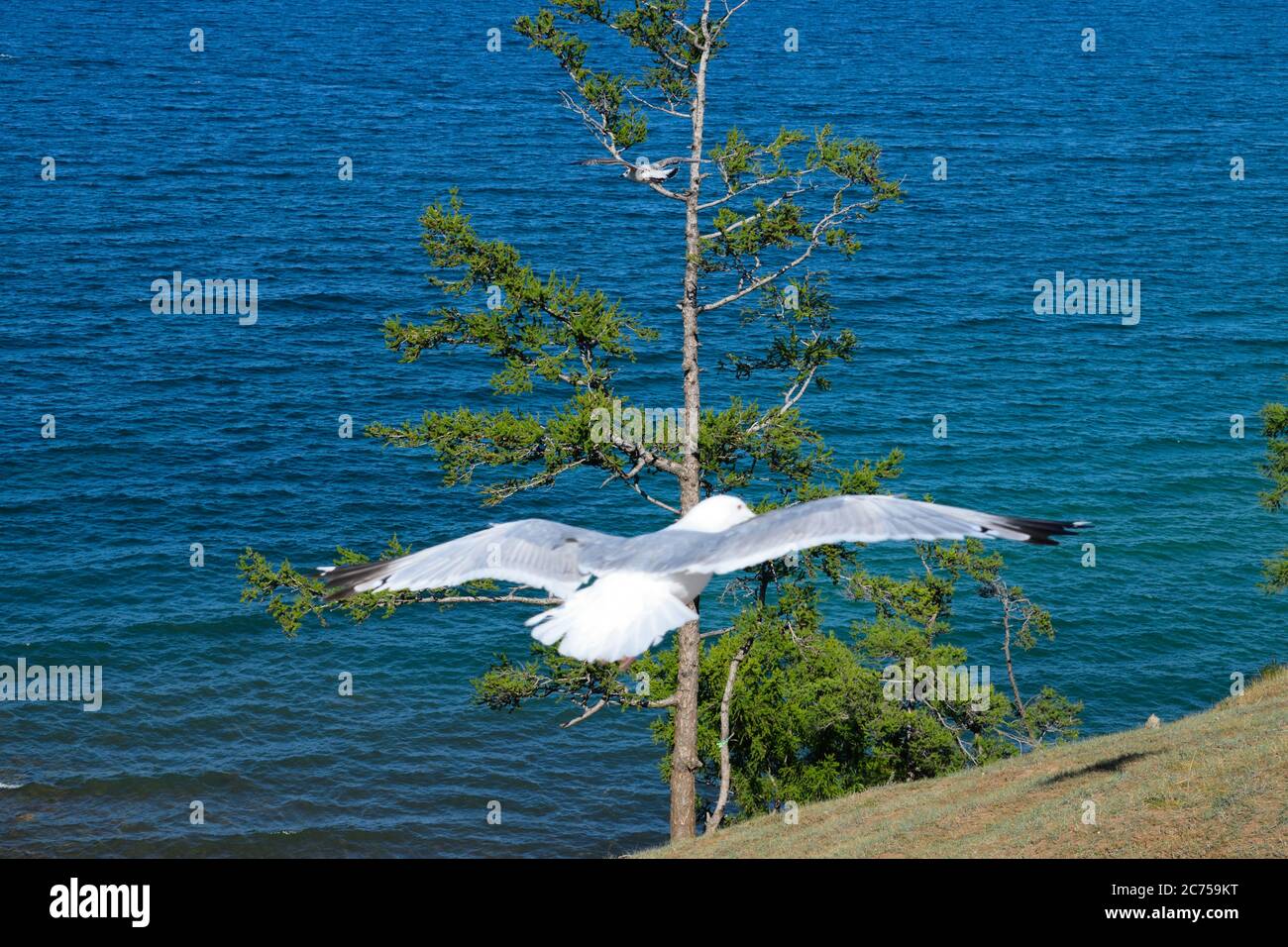 Flying over siberia hi-res stock photography and images - Alamy