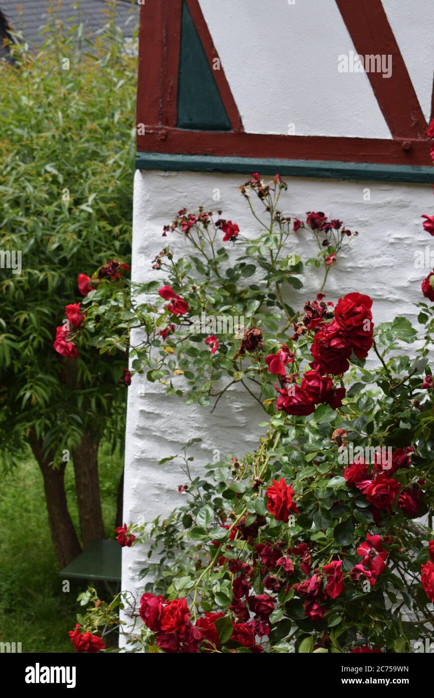 medieval Monreal, downtown Stock Photo - Alamy