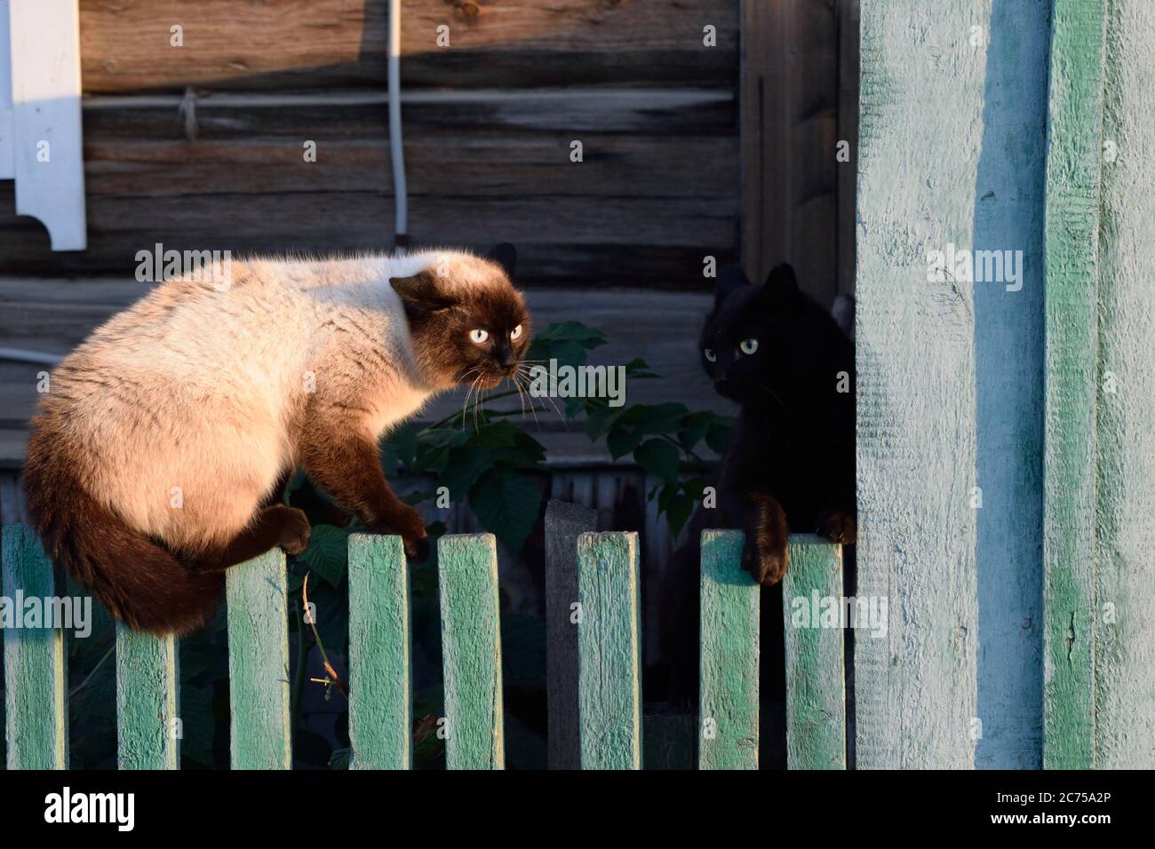 Standoff rural hi-res stock photography and images - Alamy