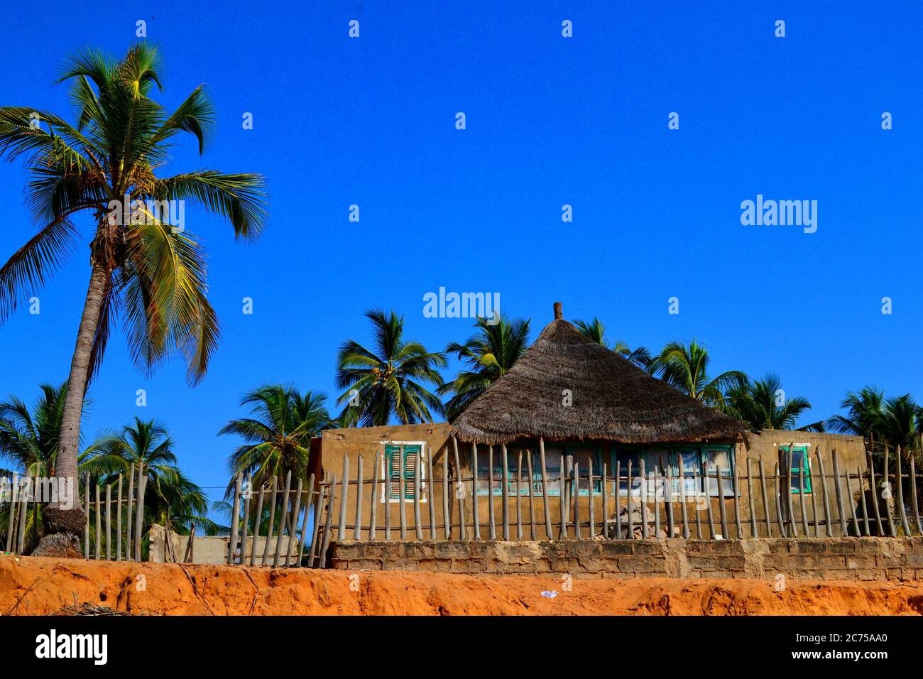 Trees in senegal west africa hi-res stock photography and images - Alamy