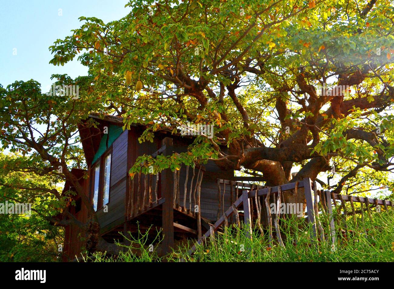 Tree house, Les Collines de Niassam, Sine-Saloum delta in Senegal Stock ...
