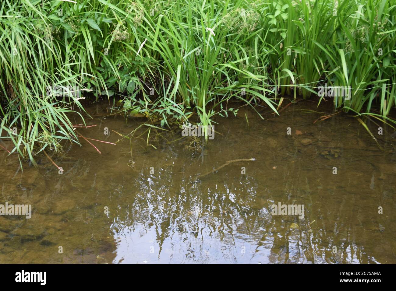 medieval Monreal: Elz river Stock Photo - Alamy