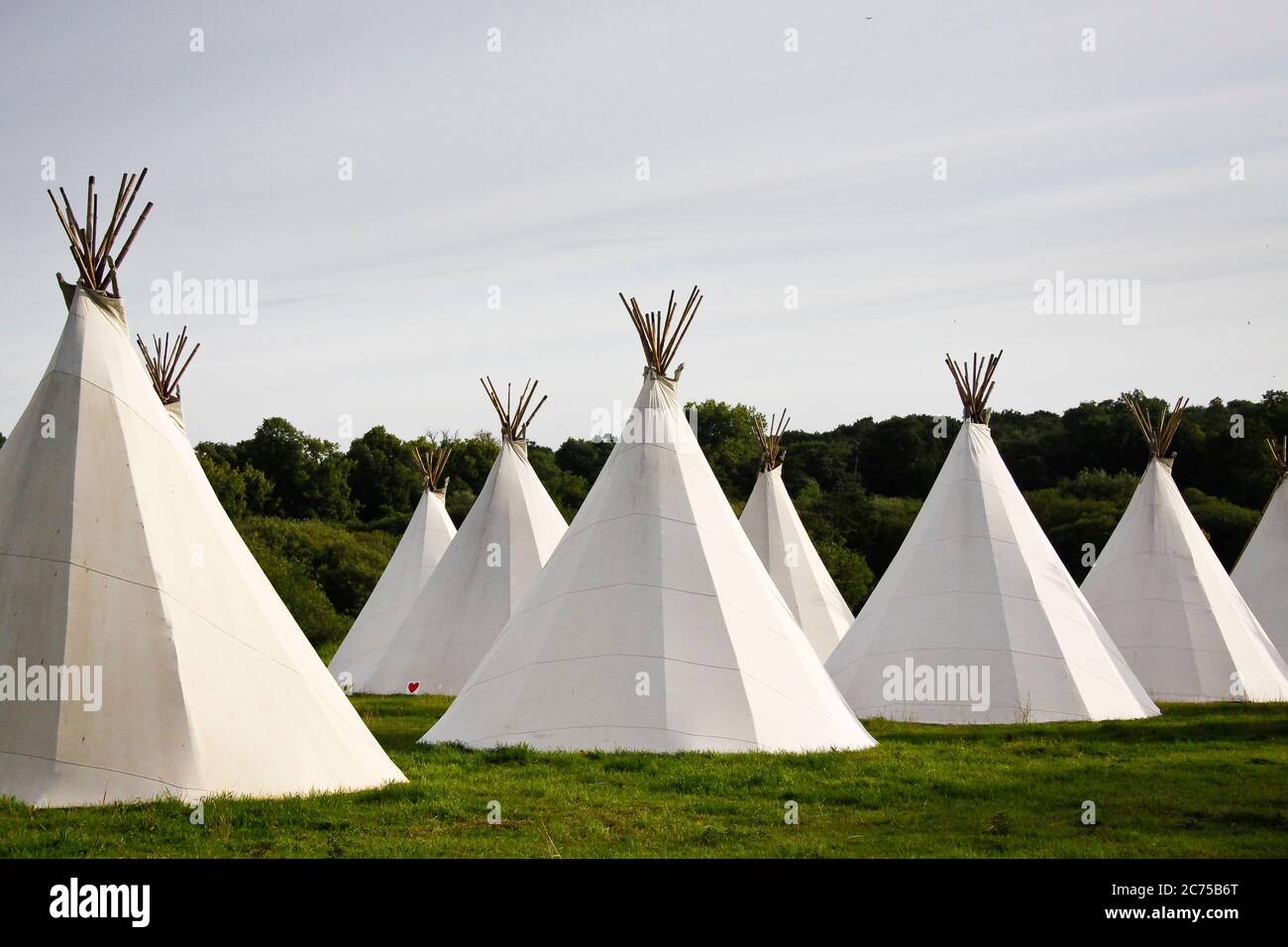 Tipi glamping field with at a festival campsite, Norfolk Stock Photo ...