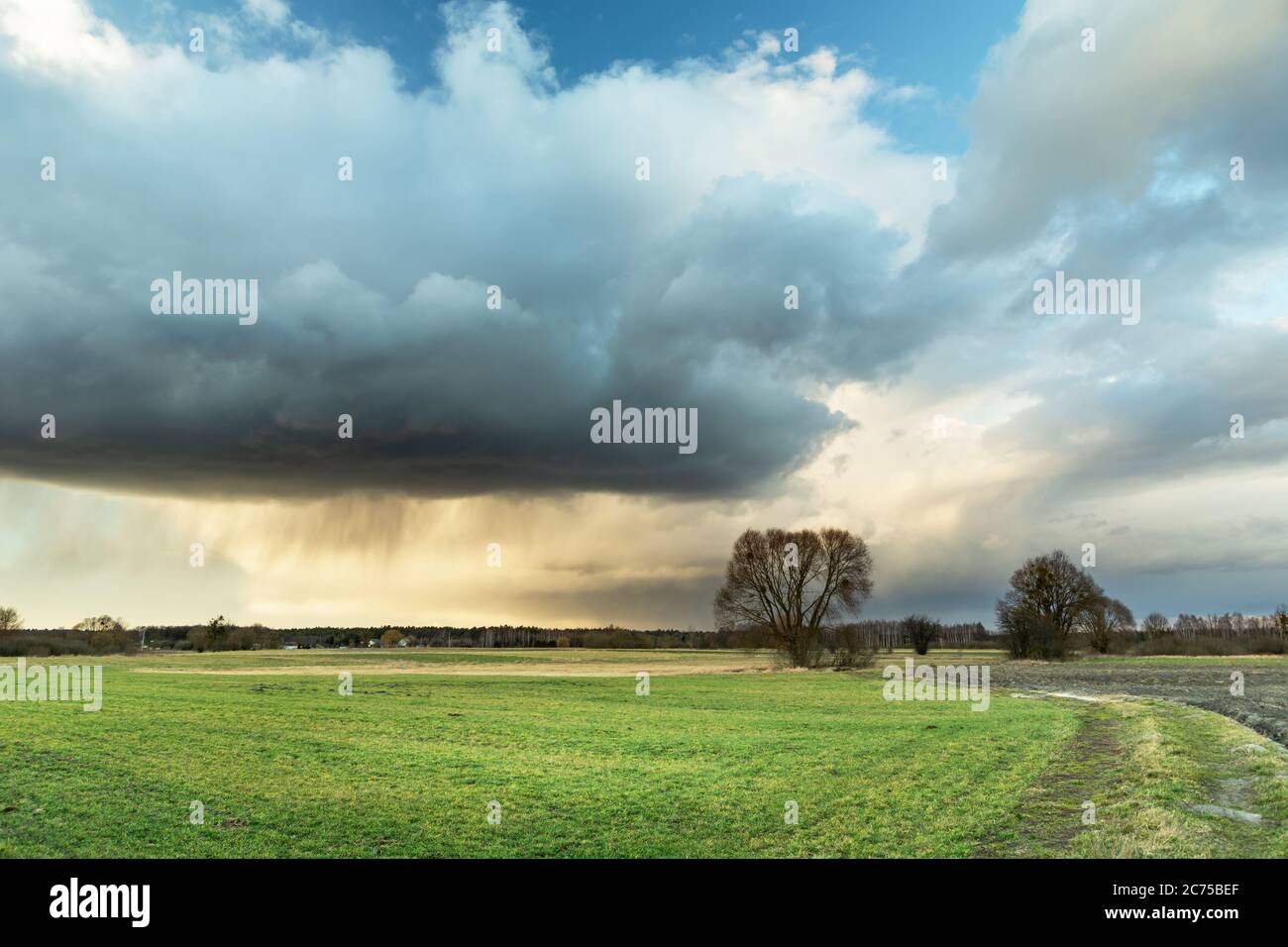Spring rain falling hi-res stock photography and images - Alamy