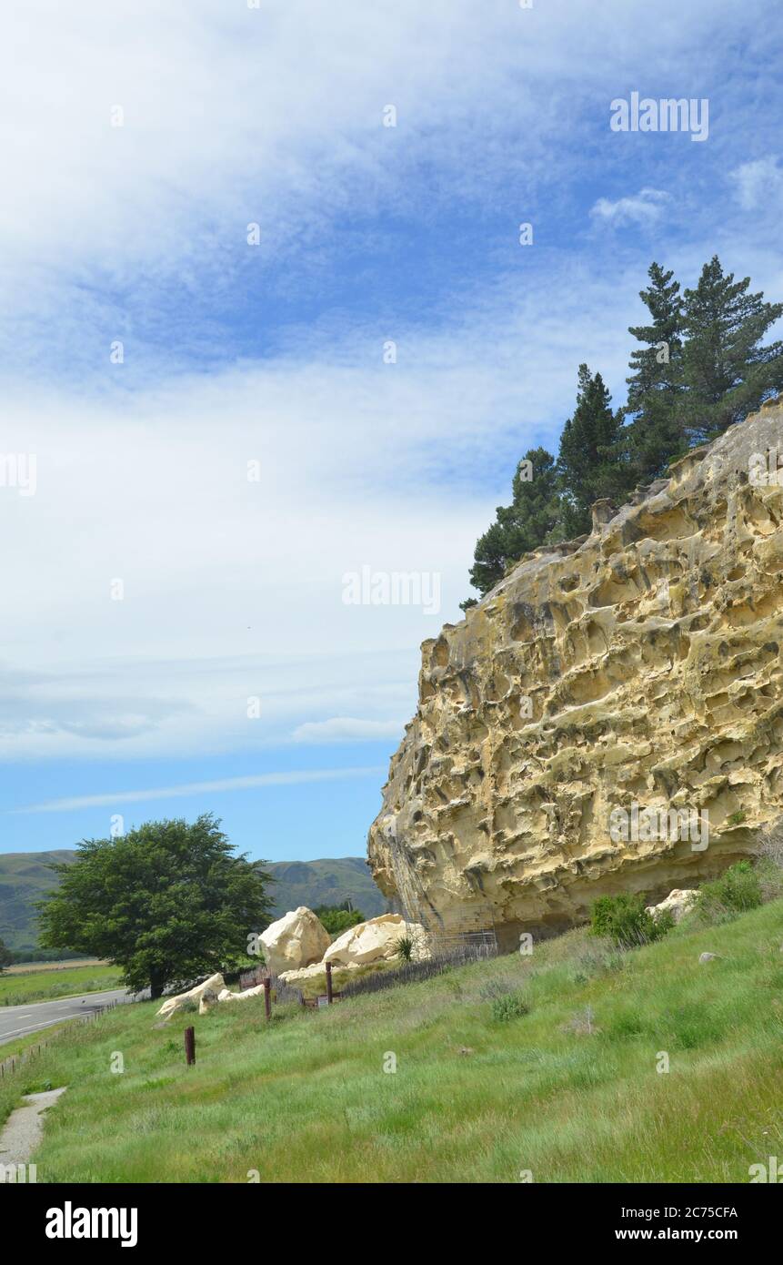 Limestone outcrop which contains the rock shelter with Maori rock art ...