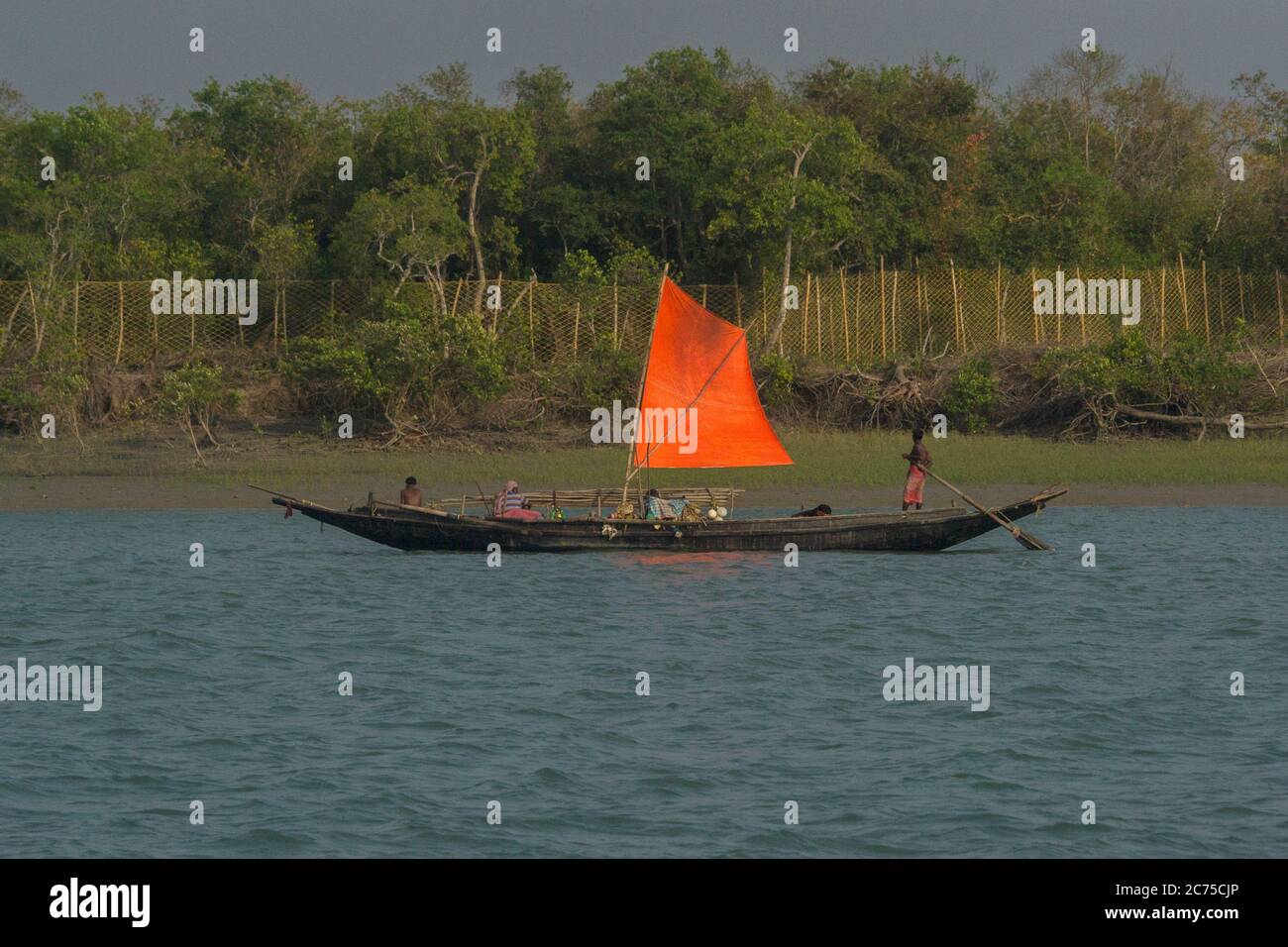 A country boat of fisher men sailing on Matla river at Sundarban tiger ...