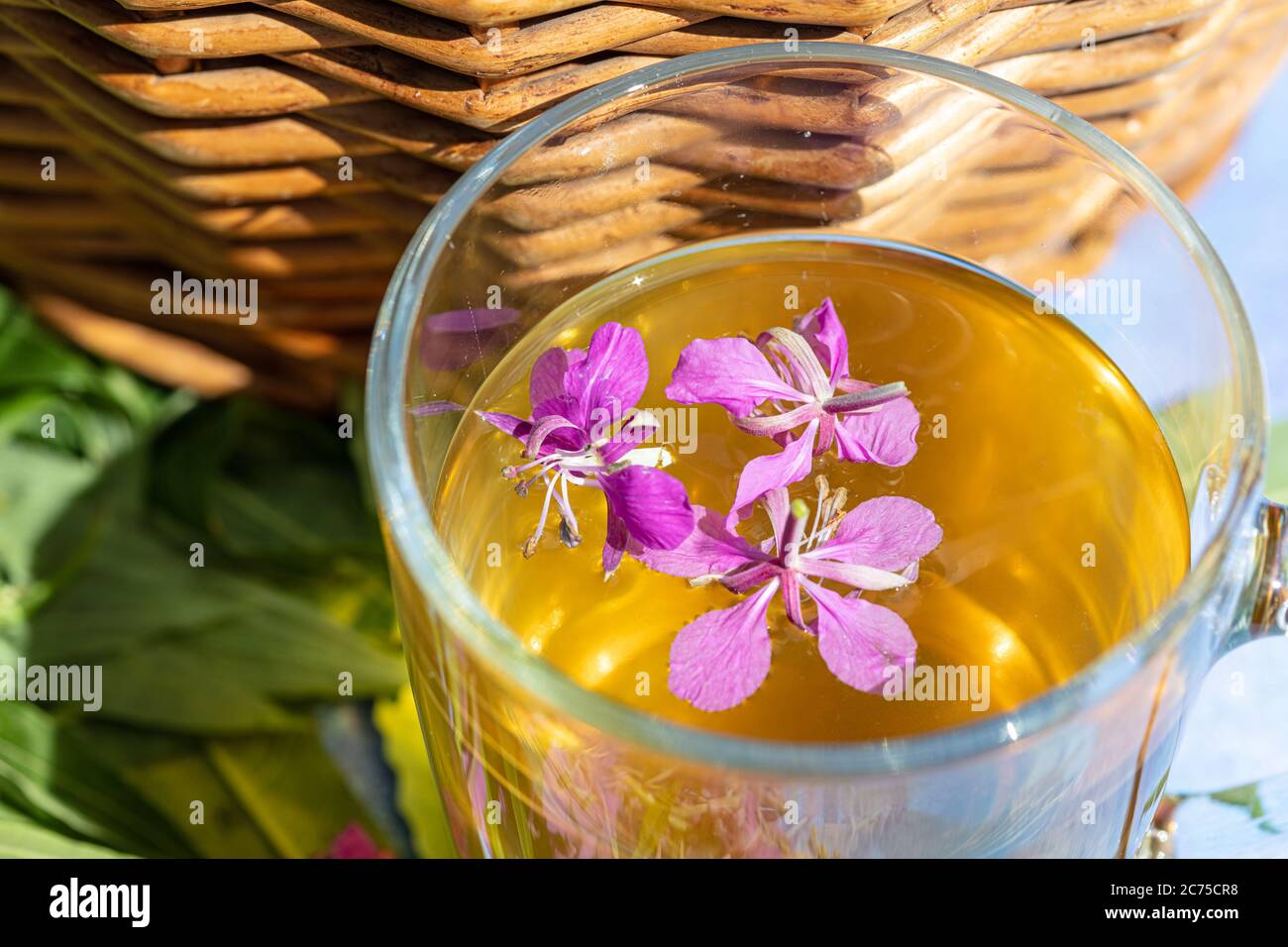 Traditional Russian herbal drink Ivan tea in a transparent cup. Close ...