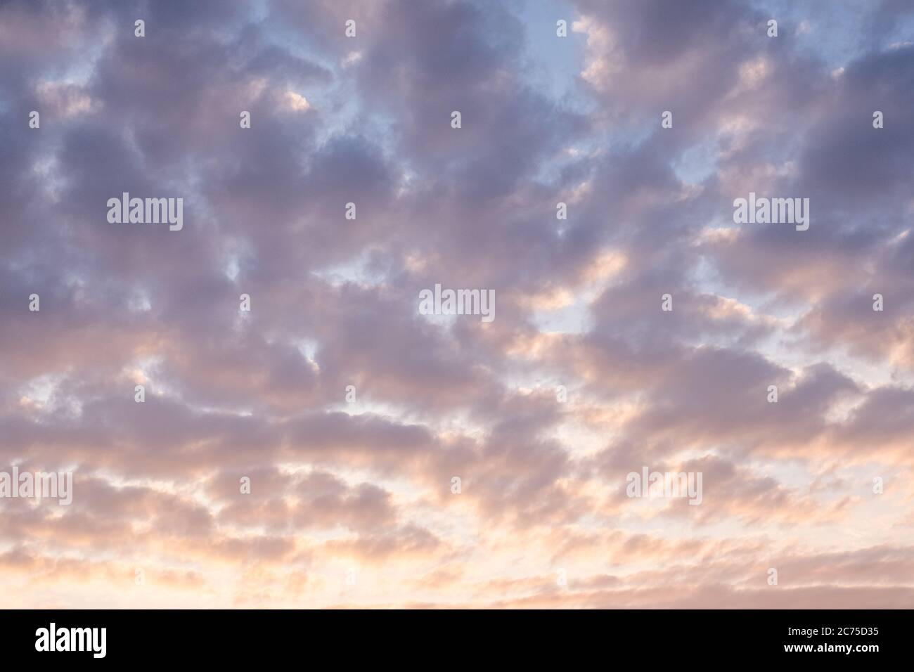 Beautiful sunset sky with purple fluffy clouds as a background Stock ...