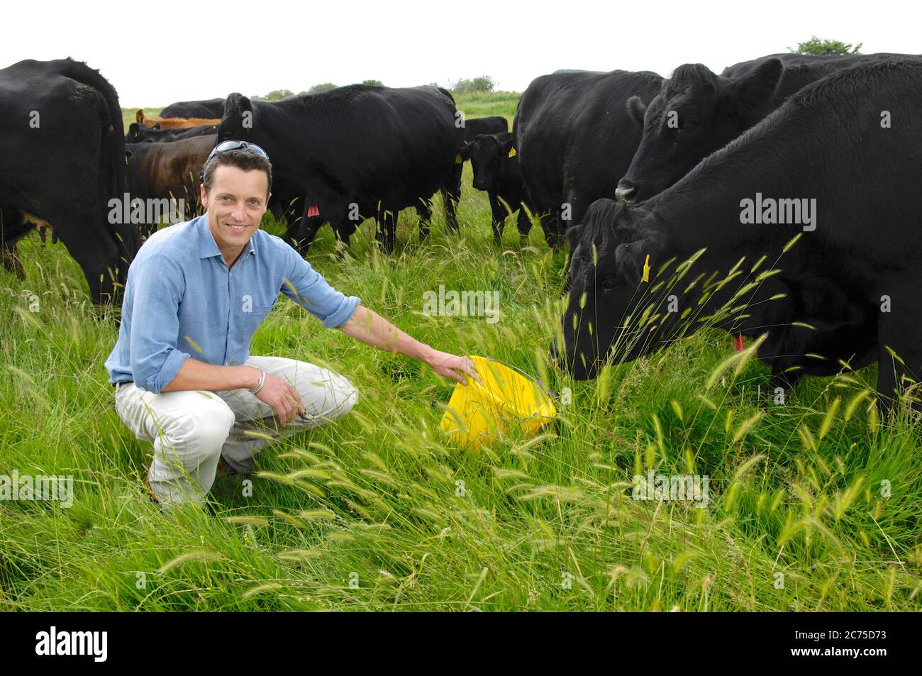 Cattle baron hi-res stock photography and images - Alamy