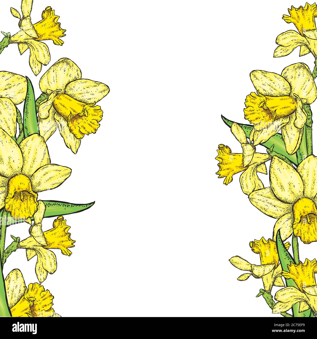 Beautiful daffodils. Vector illustration. Bouquet of spring flowers ...