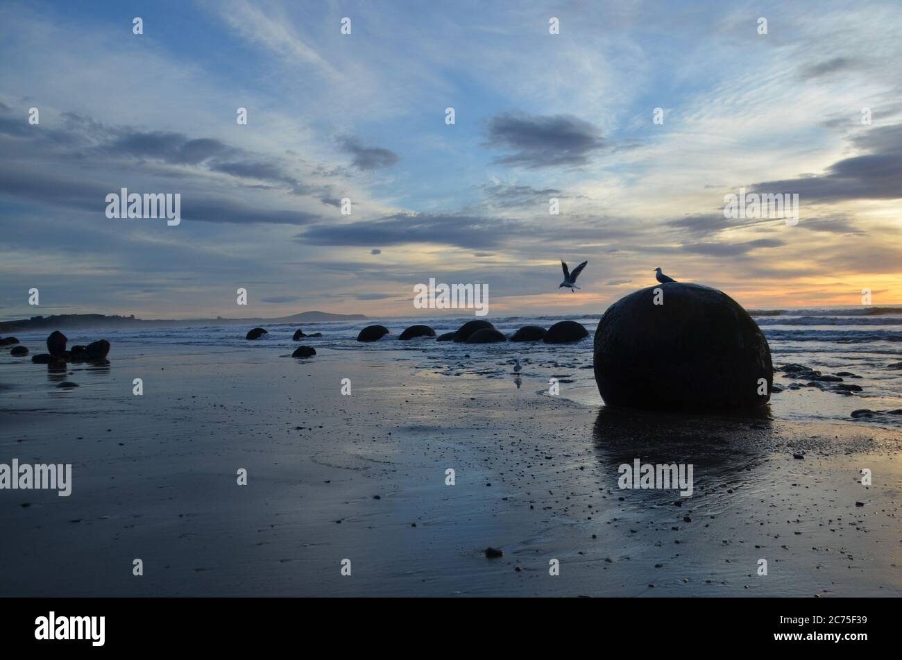 The Moeraki Boulders are unusually large and spherical boulders lying ...