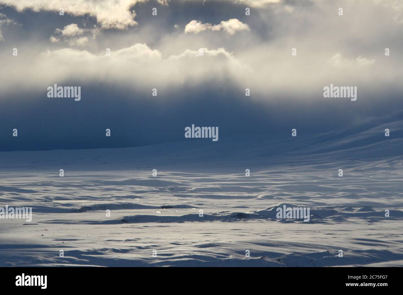 Winter with heavy snow fall at Mt John. It's a large hill overlooking ...