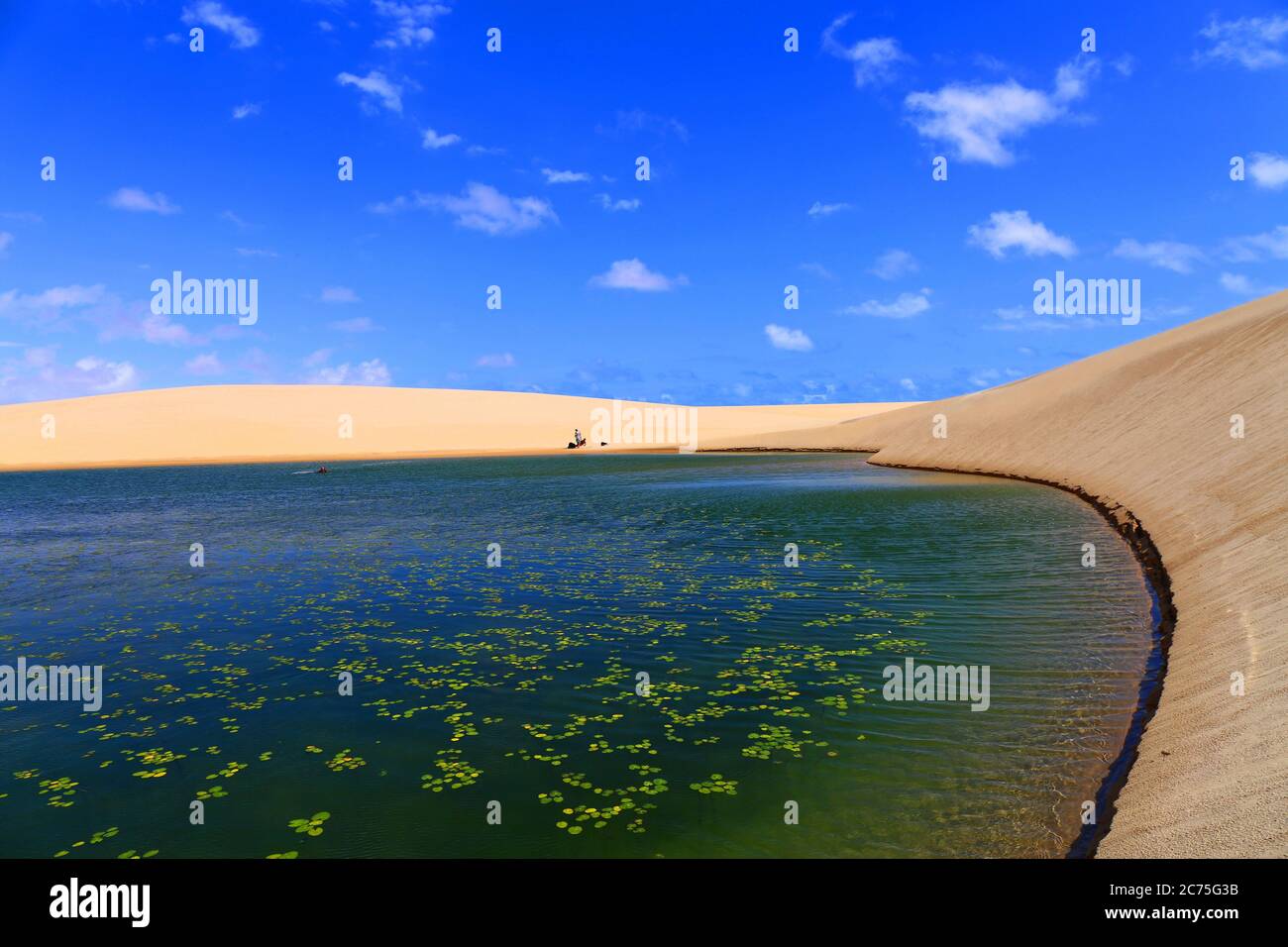 Lencois Maranhenses national park in Maranhao, Brazil Stock Photo - Alamy