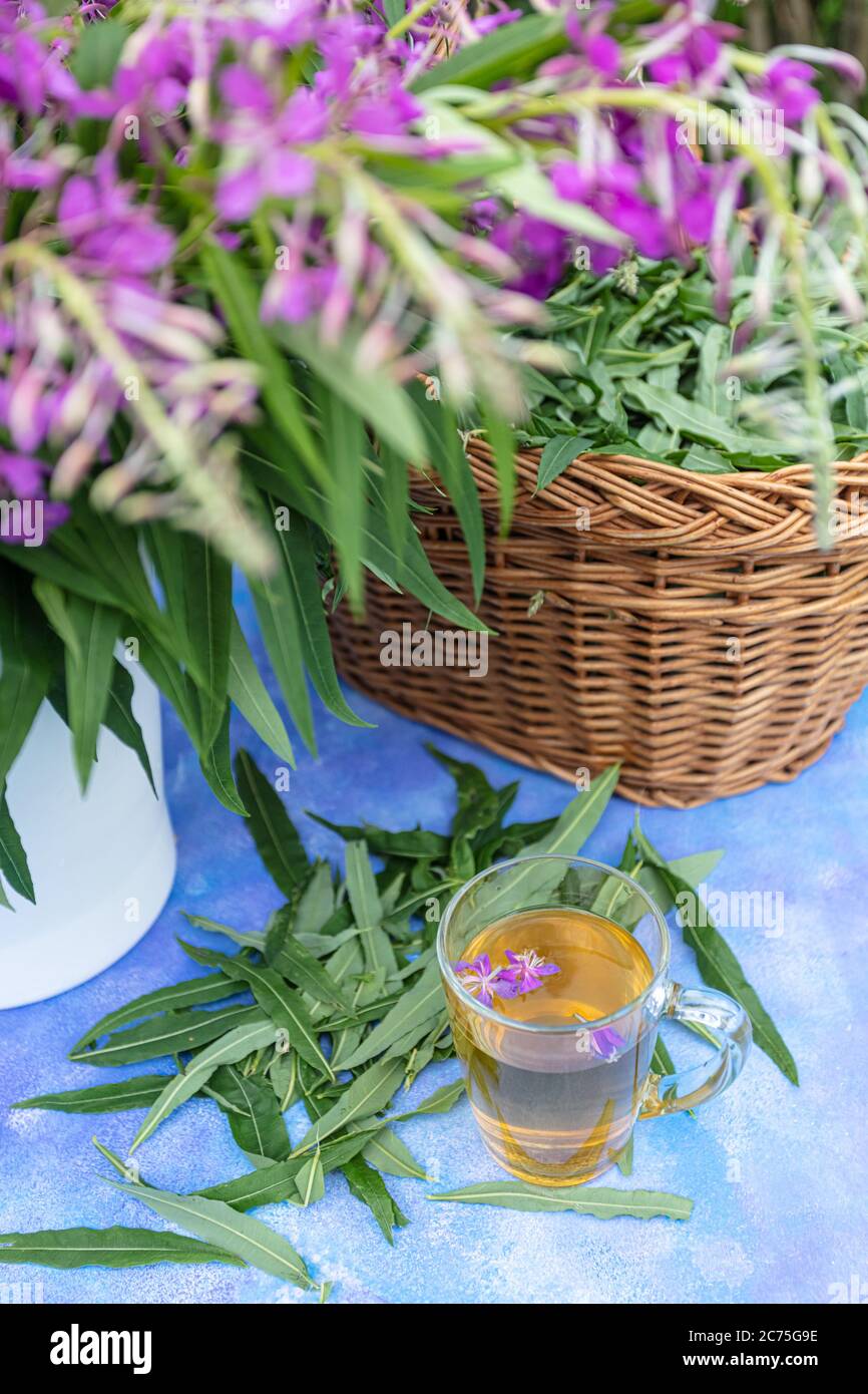 Traditional Russian herbal drink Ivan tea in a transparent cup. Close ...