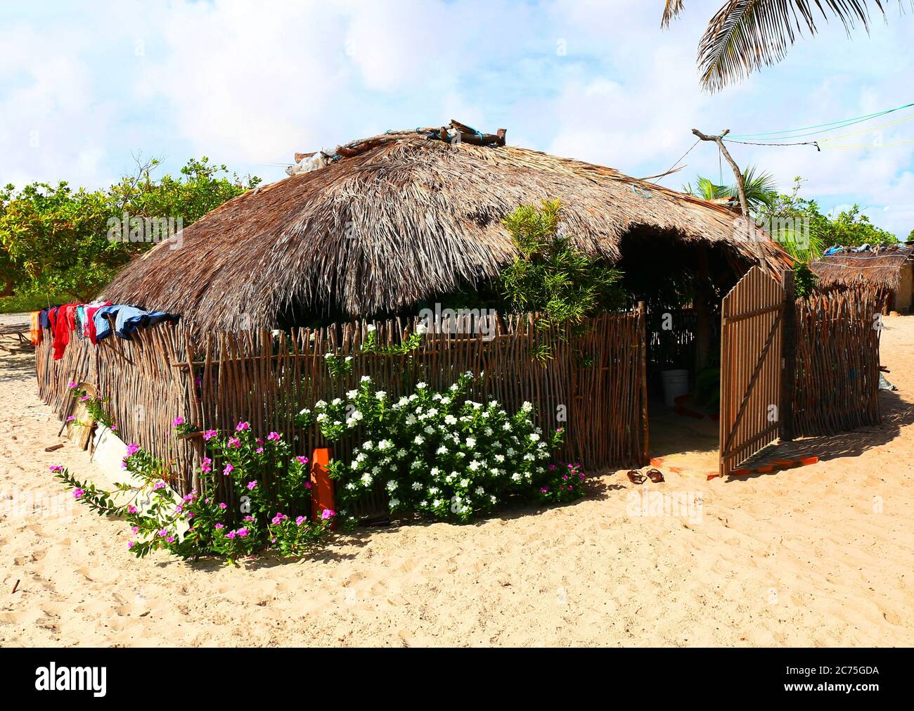 Rural oasis of Baixa Grande in the national park of Lencois Maranhenses ...
