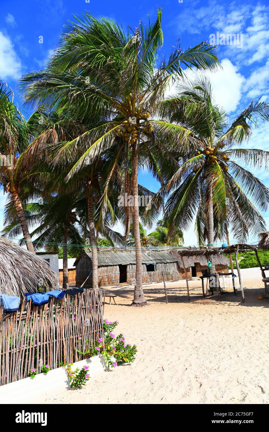 Rural oasis of Baixa Grande in the national park of Lencois Maranhenses ...