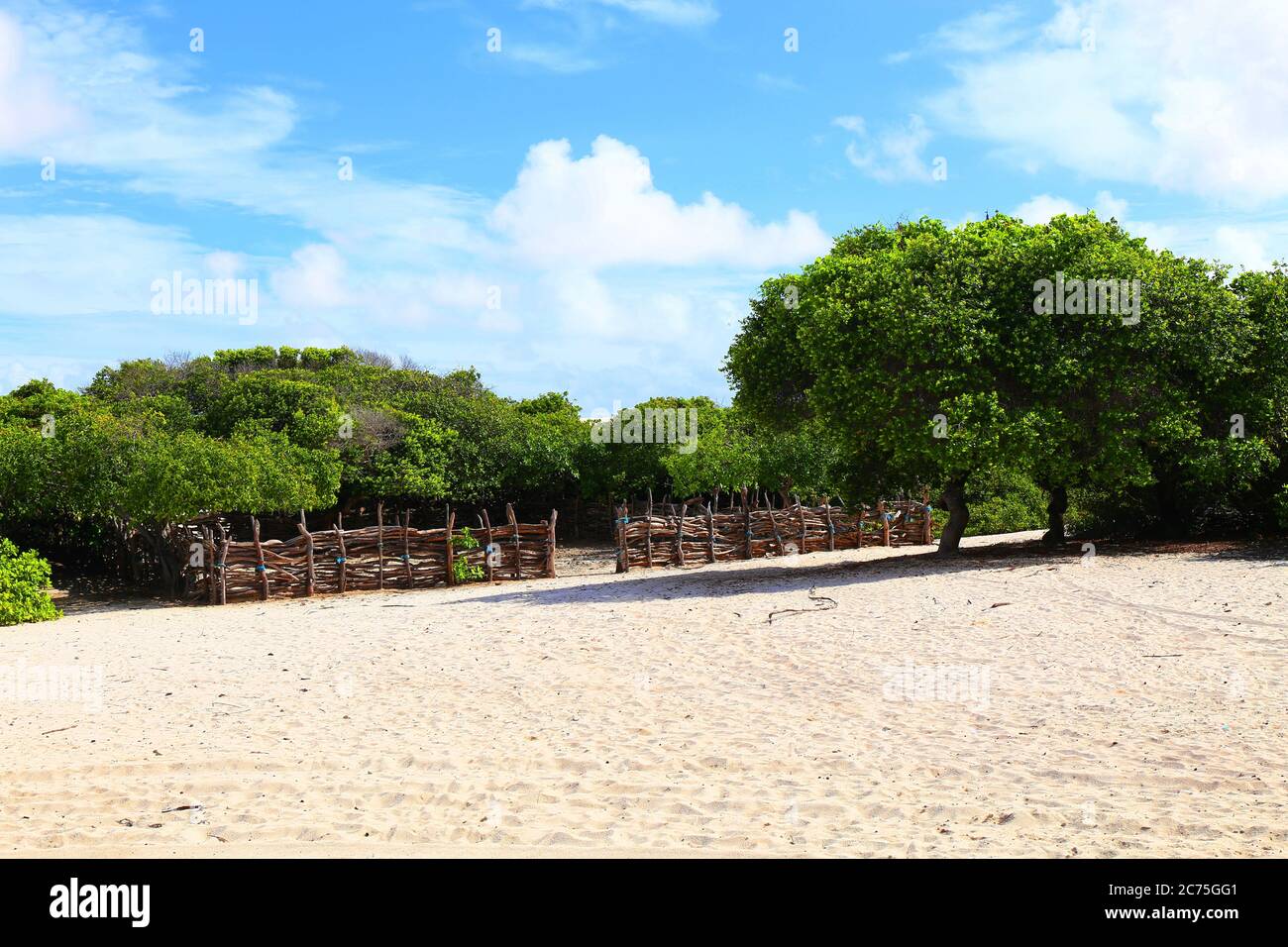 Beautiful green oasis of Baixa Grande in the national park of Lencois ...