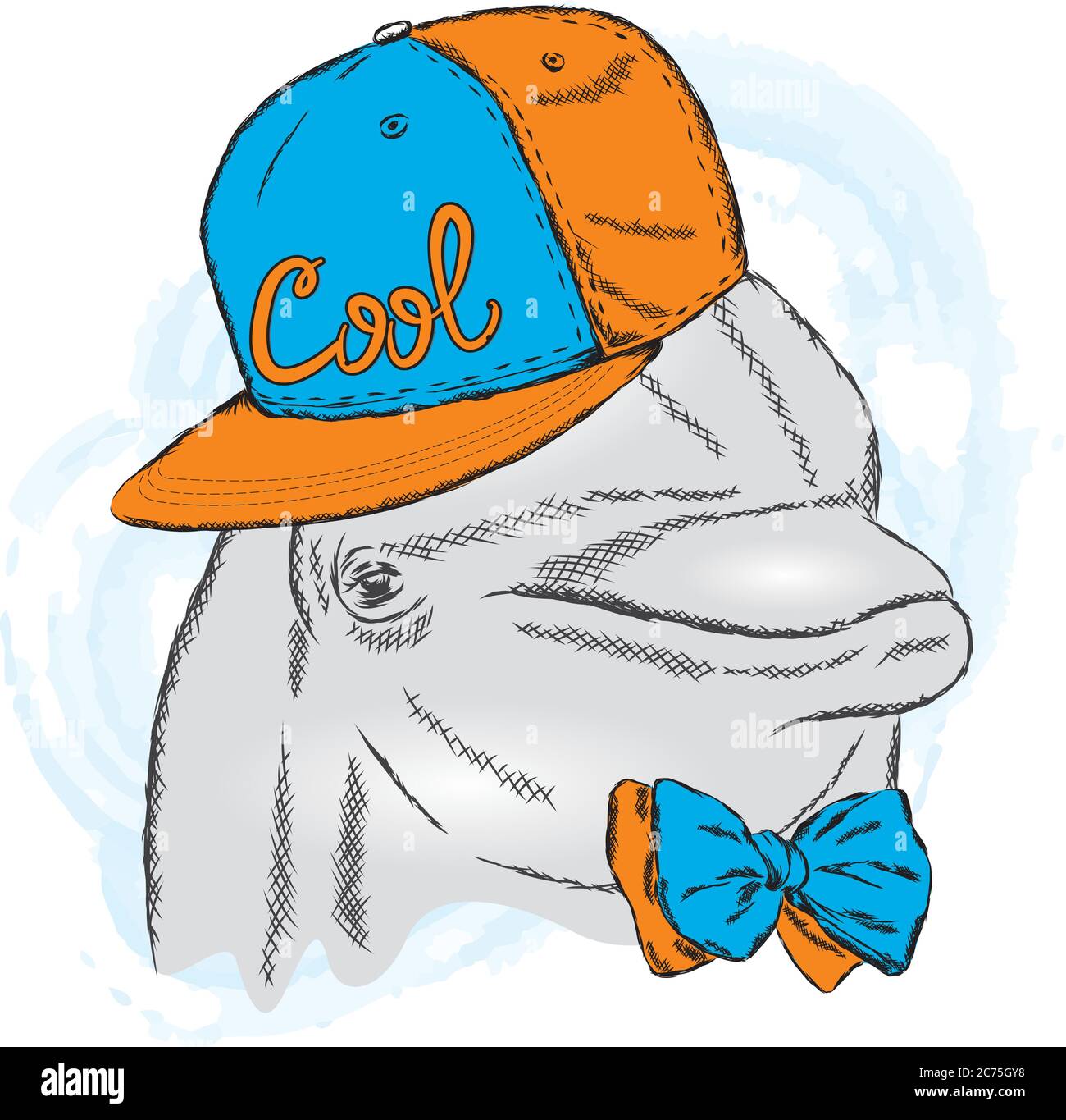 Dolphin in the cap. Vector illustration Stock Vector Image & Art - Alamy