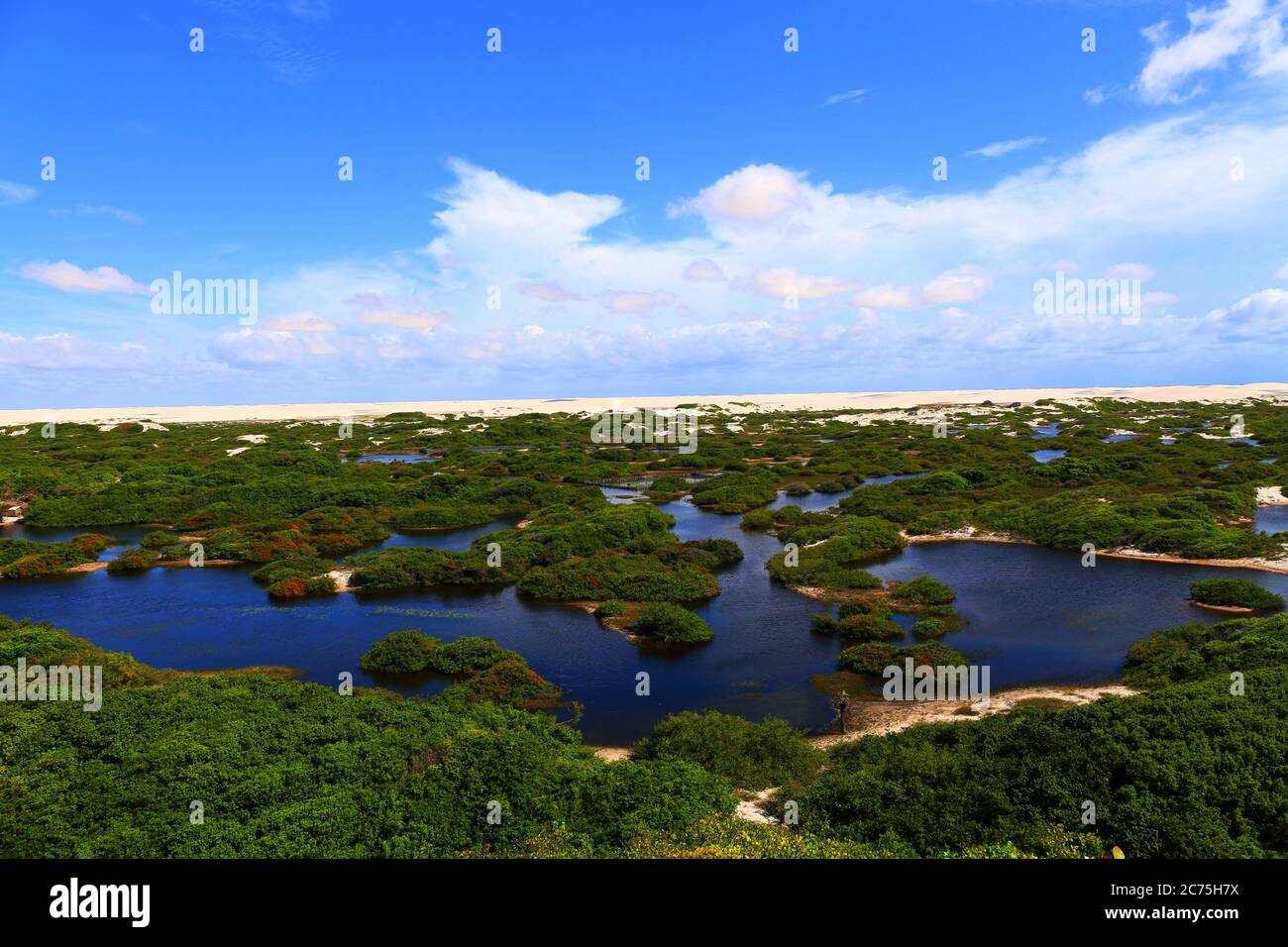 Beautiful green oasis of Baixa Grande in the national park of Lencois ...