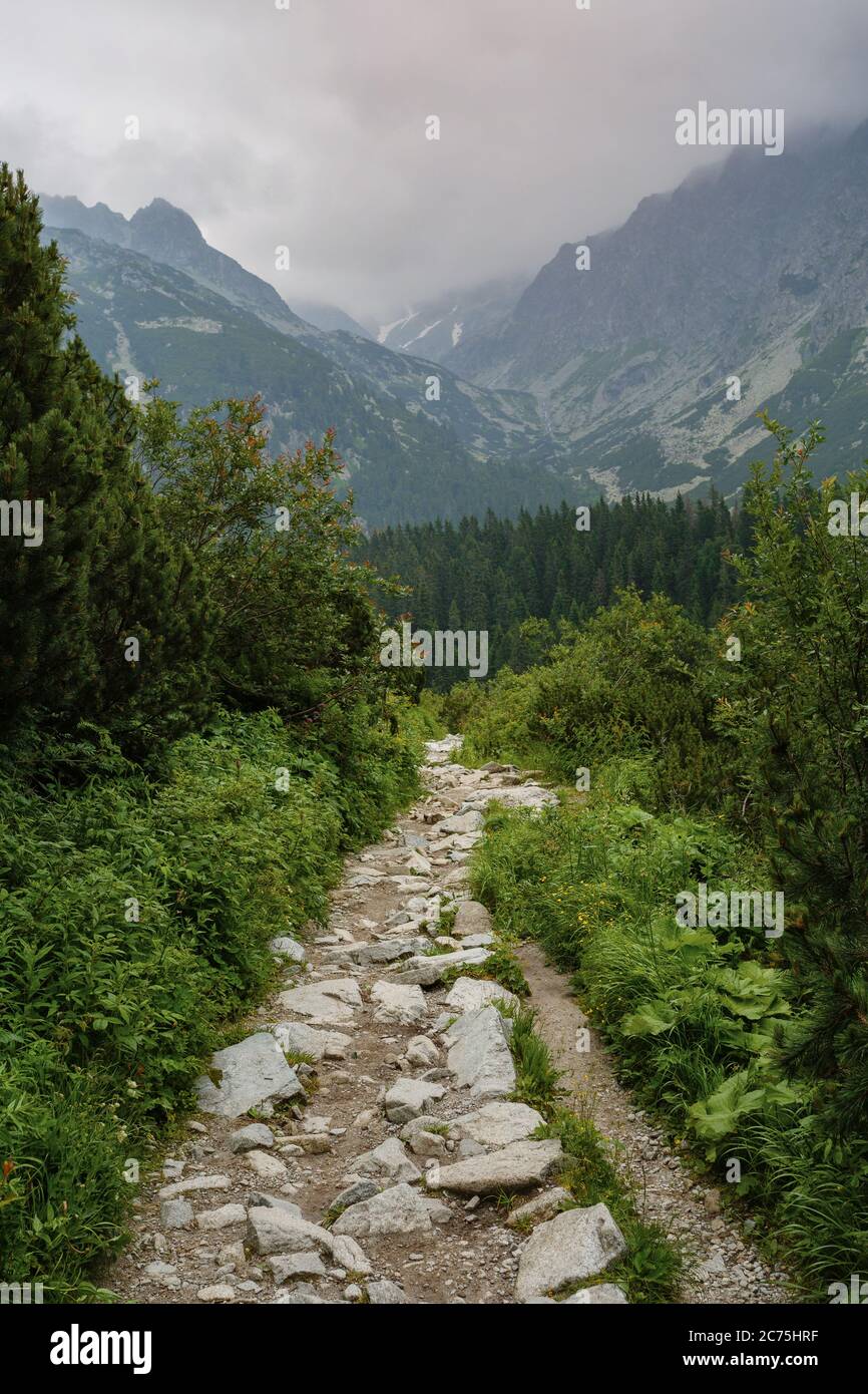 Beautiful scenery mountain trail hi-res stock photography and images ...