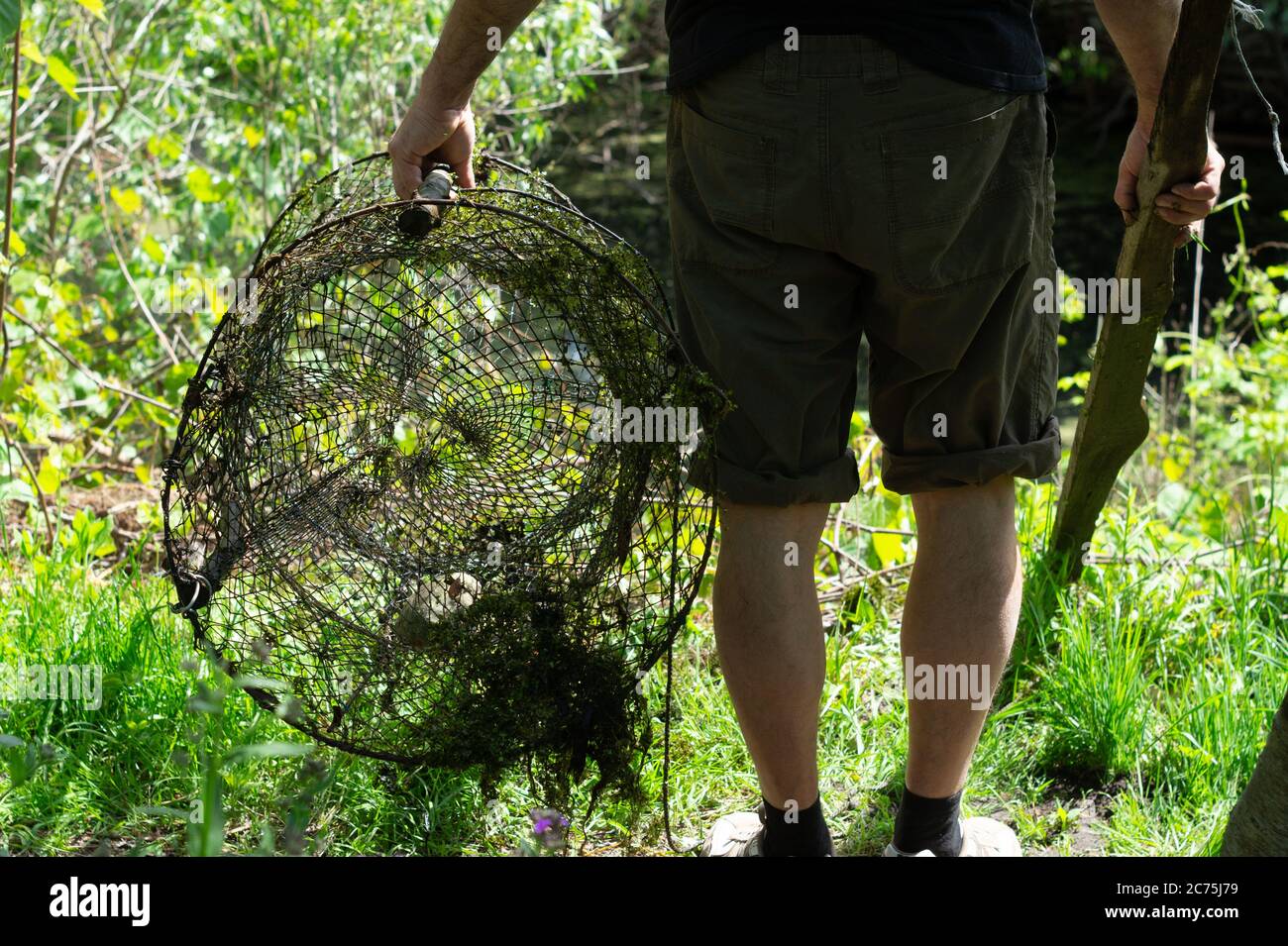 Male fisherman holds a fyke net, Fishing net for poaching fishing Stock ...