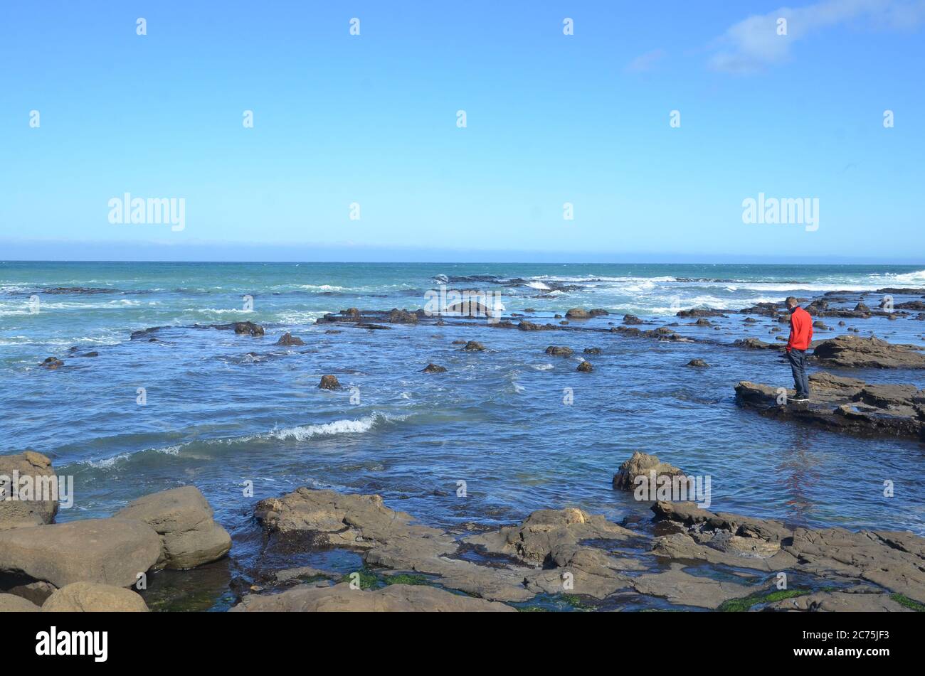 Curio Bay is a popular destination, with spectacular scenery and ...