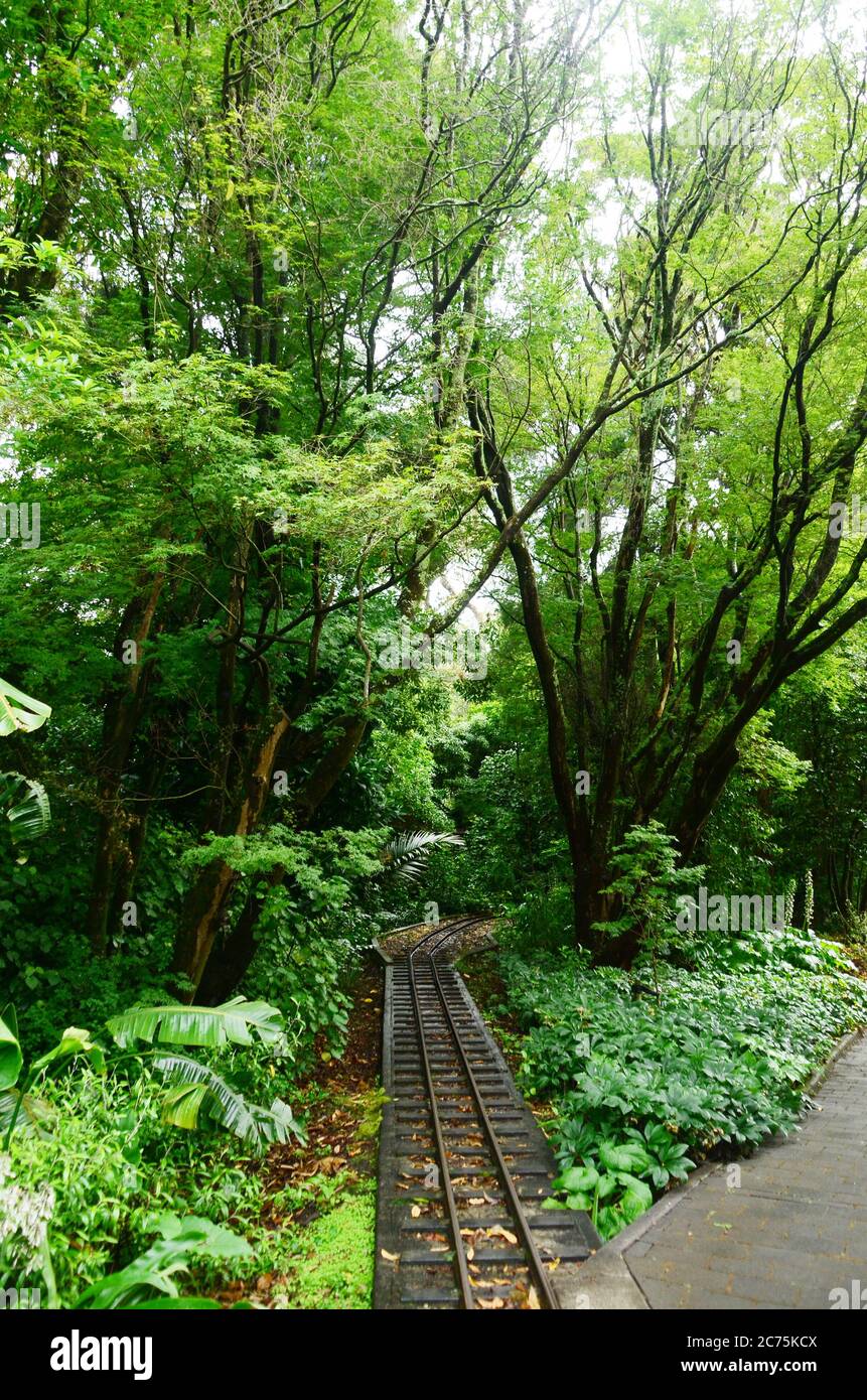 Karangahake gorge historic walkway hi-res stock photography and images ...