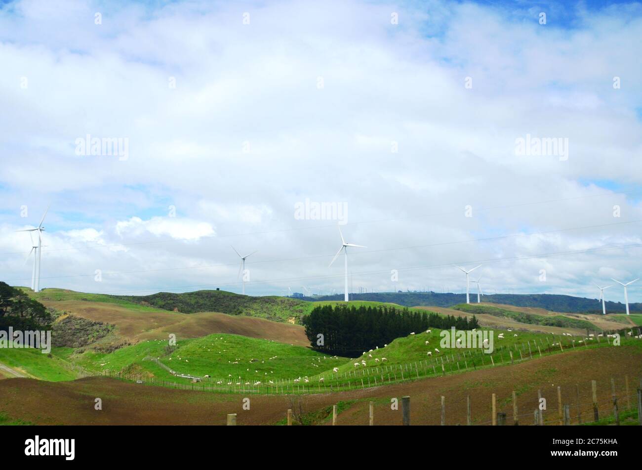 Te Apiti Wind Farm, Ruahine Ranges, Manawatu, North Island, New Zealand ...
