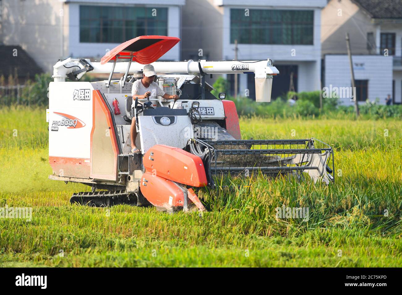 Yiyang, China's Hunan Province. 14th July, 2020. A farmer harvests with ...