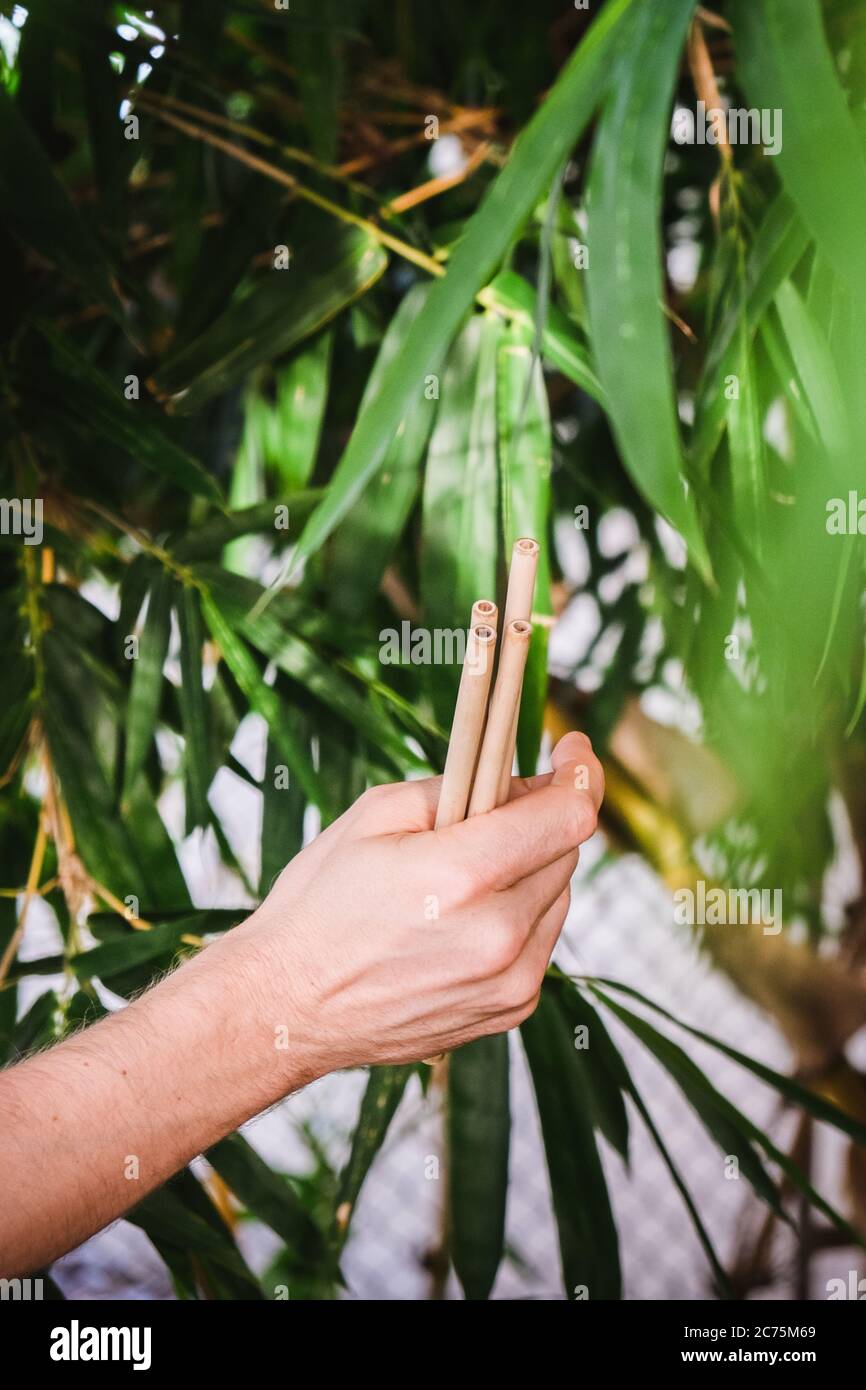 Reusable Bamboo drinking straw in man hands on bamboo background. Zero ...