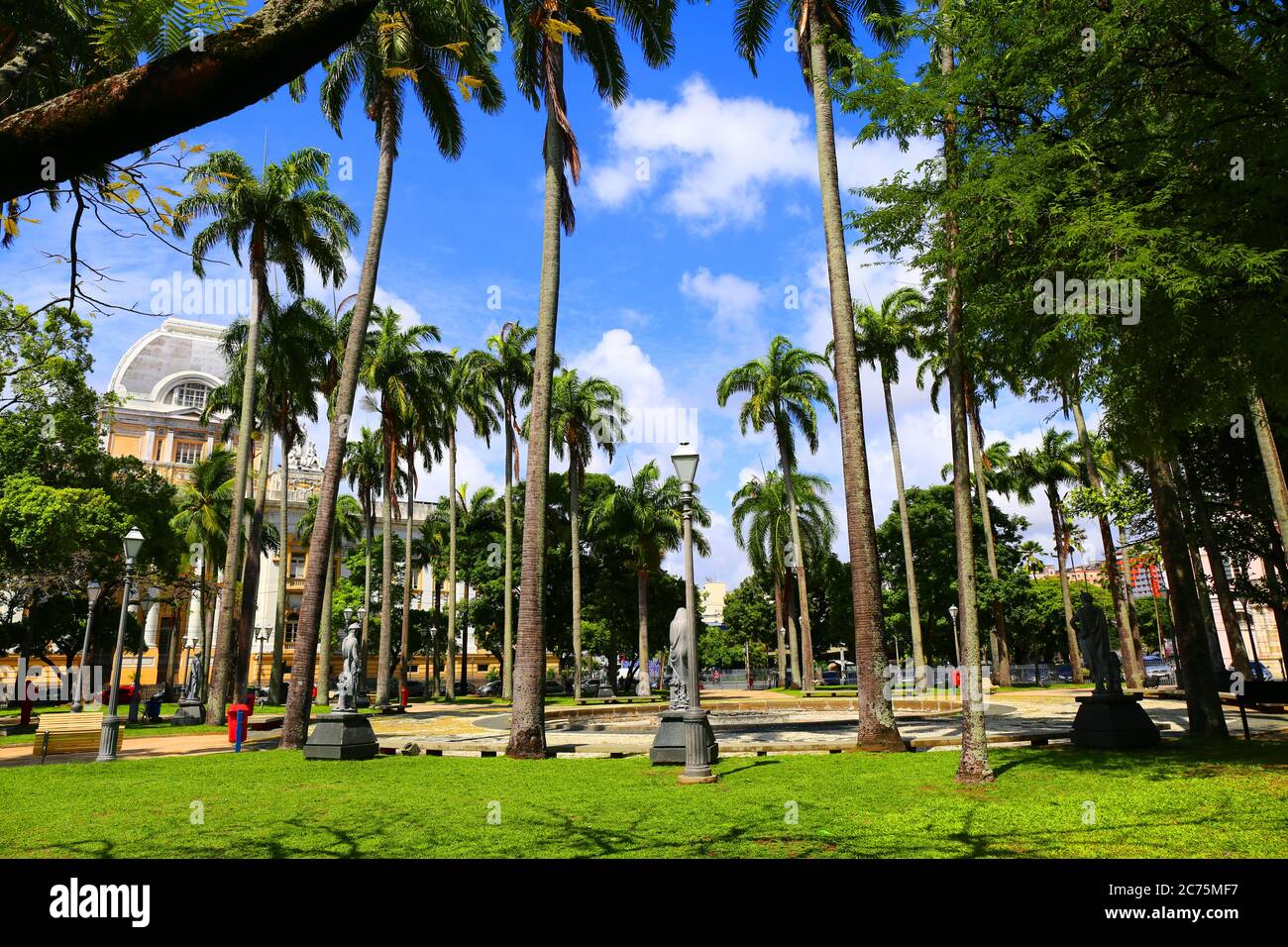 Urban palm trees in Recife, Pernambuco, Brazil Stock Photo - Alamy