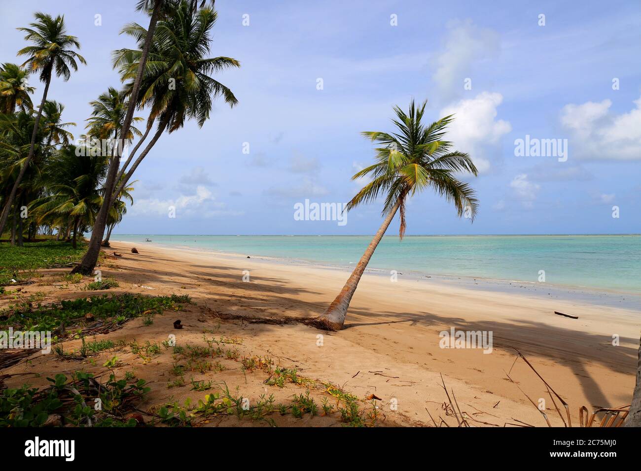 Village Water Nordeste Brasil High Resolution Stock Photography and ...