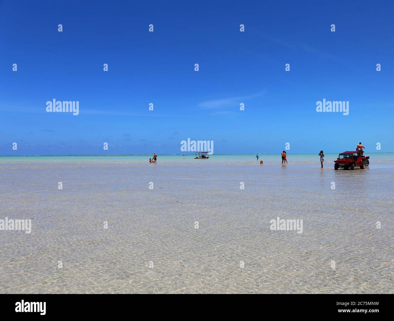 Pernambuco hi-res stock photography and images - Alamy