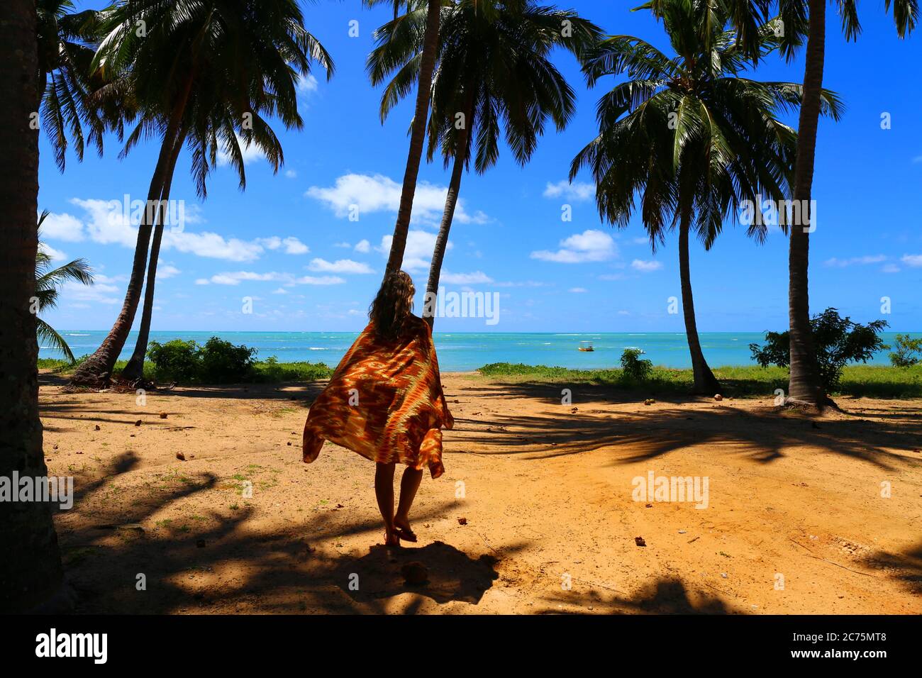 Japaratinga beach hi-res stock photography and images - Alamy