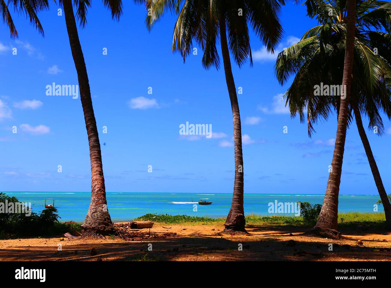 Tropical Japaratinga coastal village, Alagoas, Brazil Stock Photo - Alamy