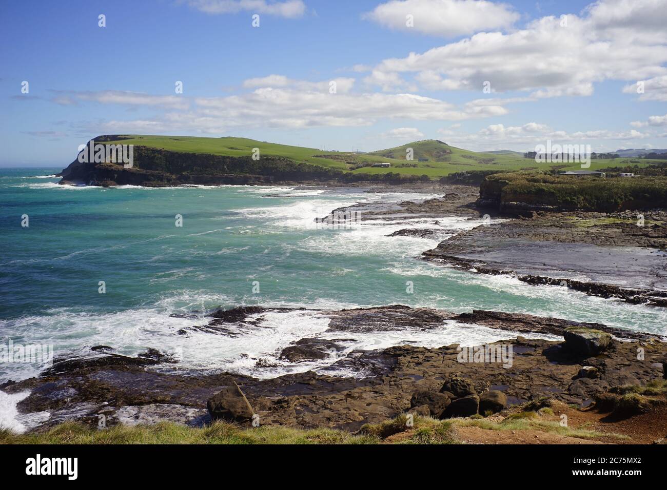 Curio Bay is a popular destination, with spectacular scenery and ...