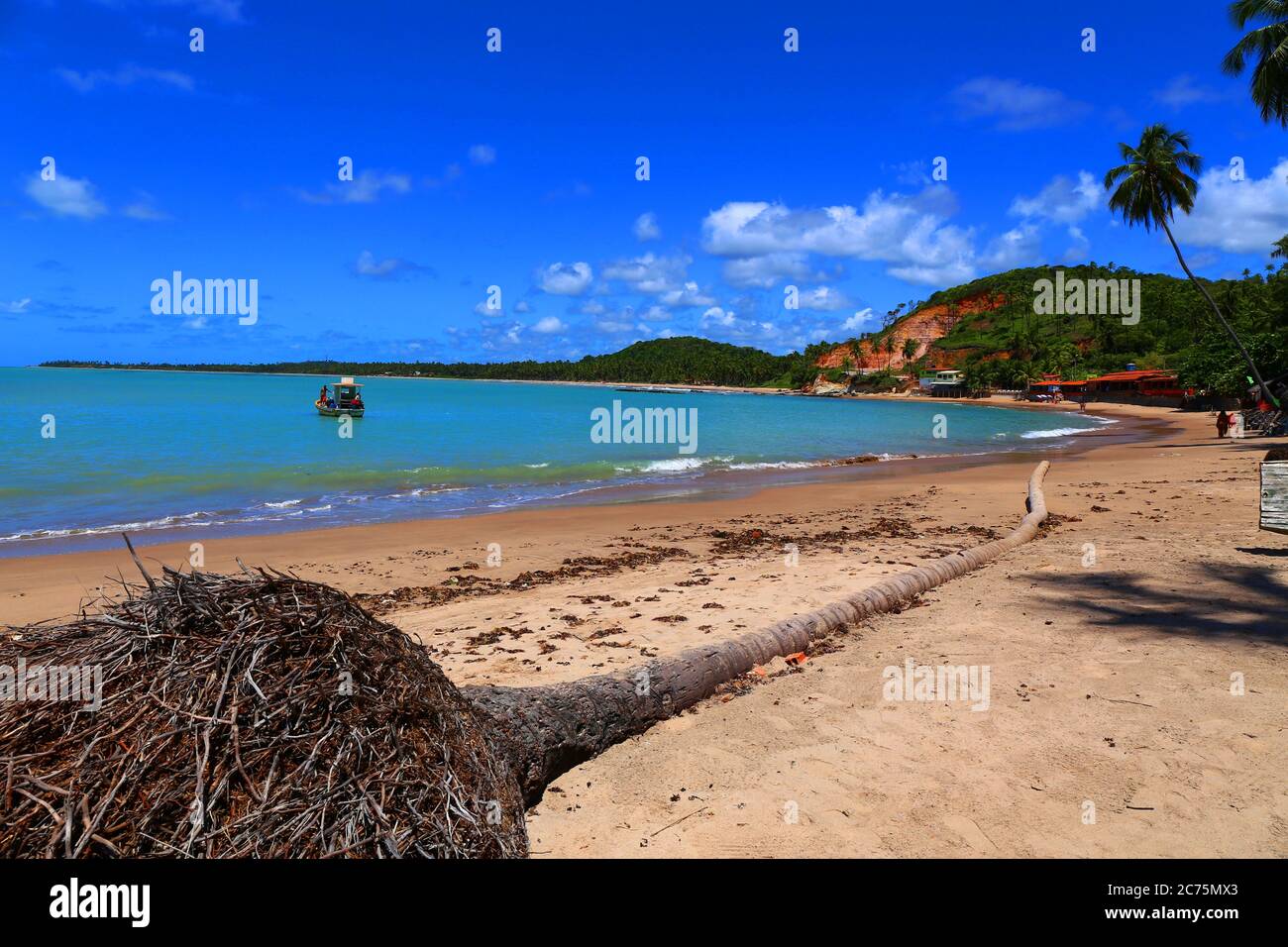 Tropical Japaratinga coastal village, Alagoas, Brazil Stock Photo - Alamy