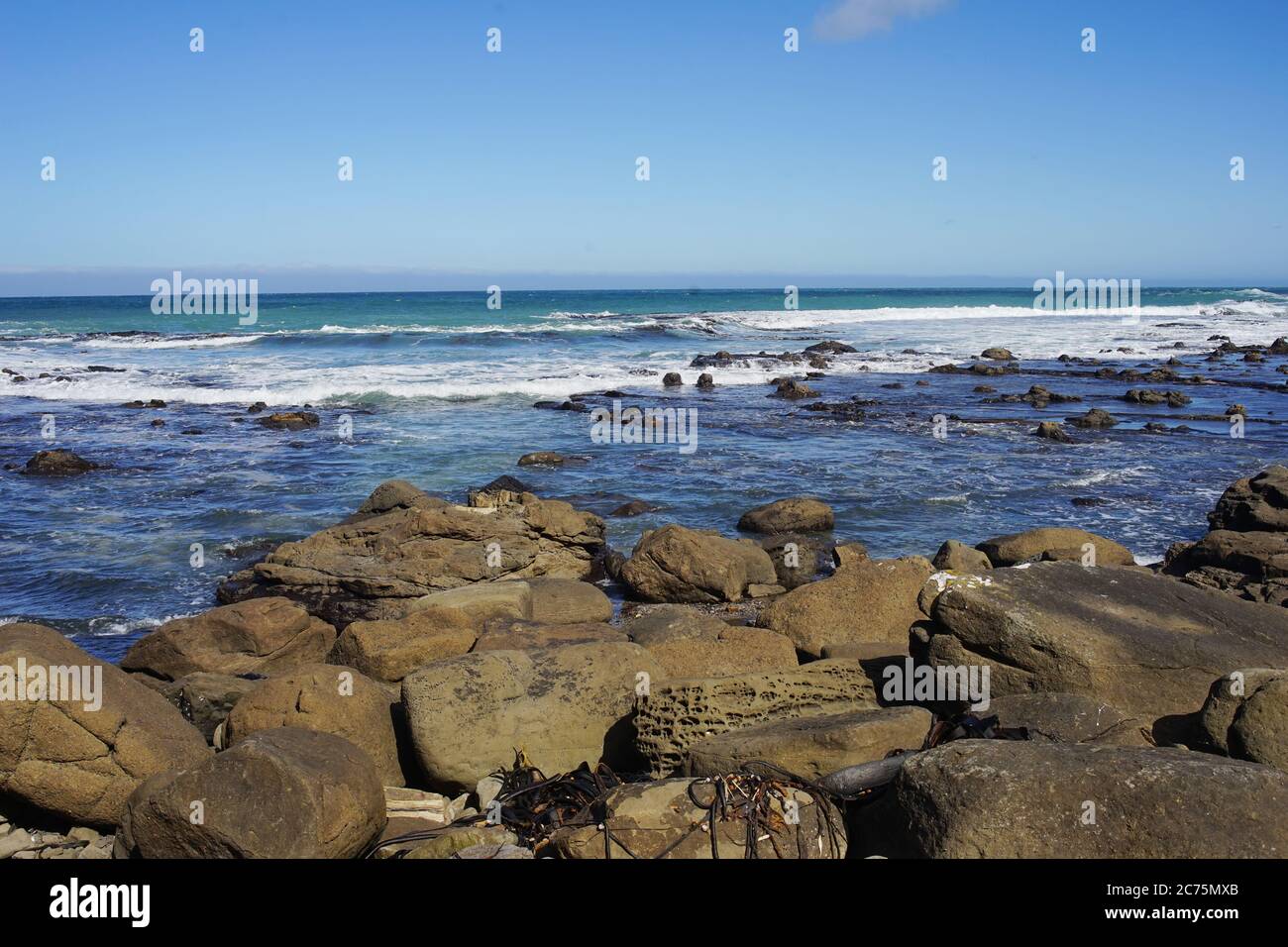 Curio Bay is a popular destination, with spectacular scenery and ...