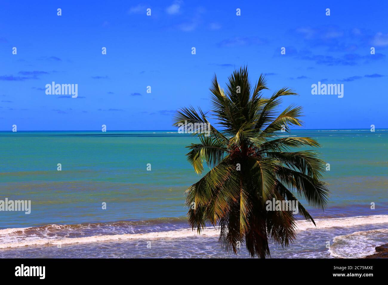 Japaratinga beach hi-res stock photography and images - Alamy