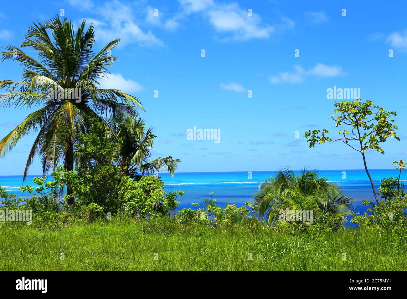 Tropical Japaratinga coastal village, Alagoas, Brazil Stock Photo - Alamy