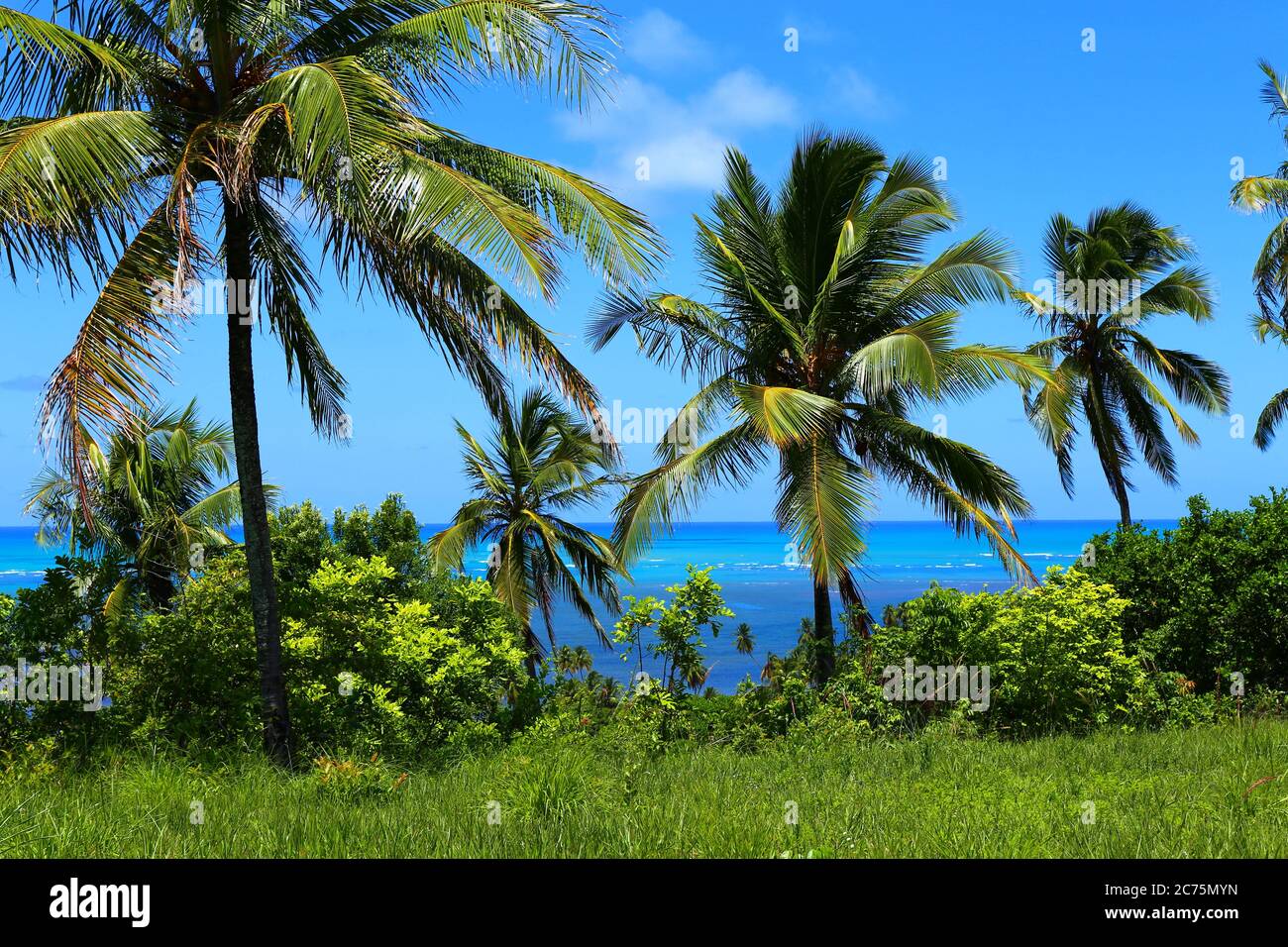 Tropical Japaratinga coastal village, Alagoas, Brazil Stock Photo - Alamy