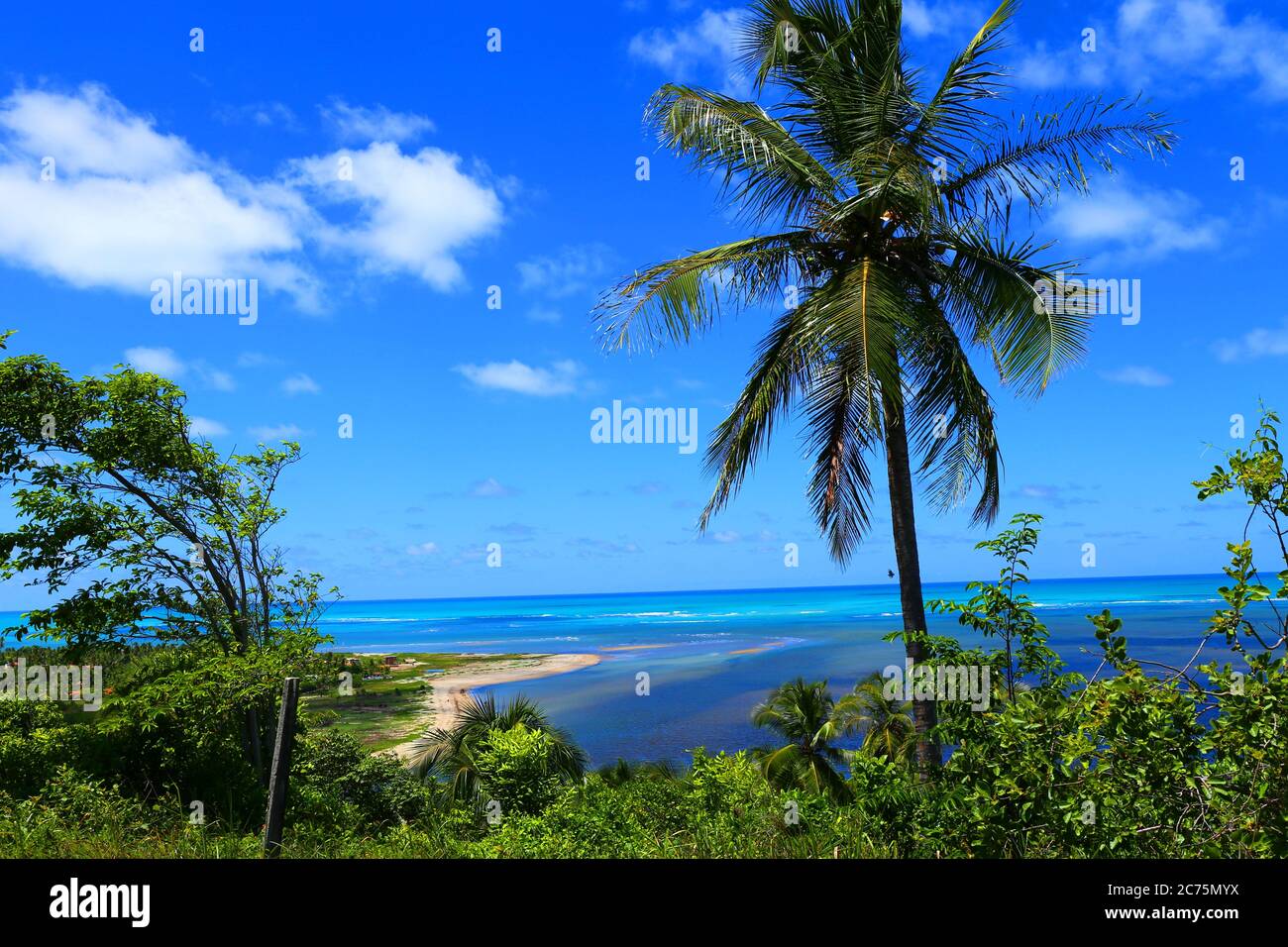 Tropical Japaratinga coastal village, Alagoas, Brazil Stock Photo - Alamy