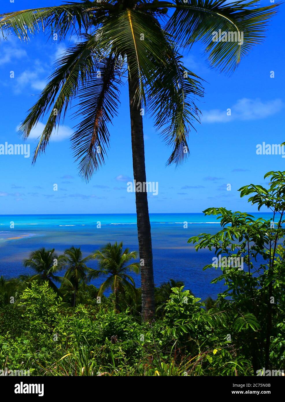 Japaratinga beach hi-res stock photography and images - Alamy