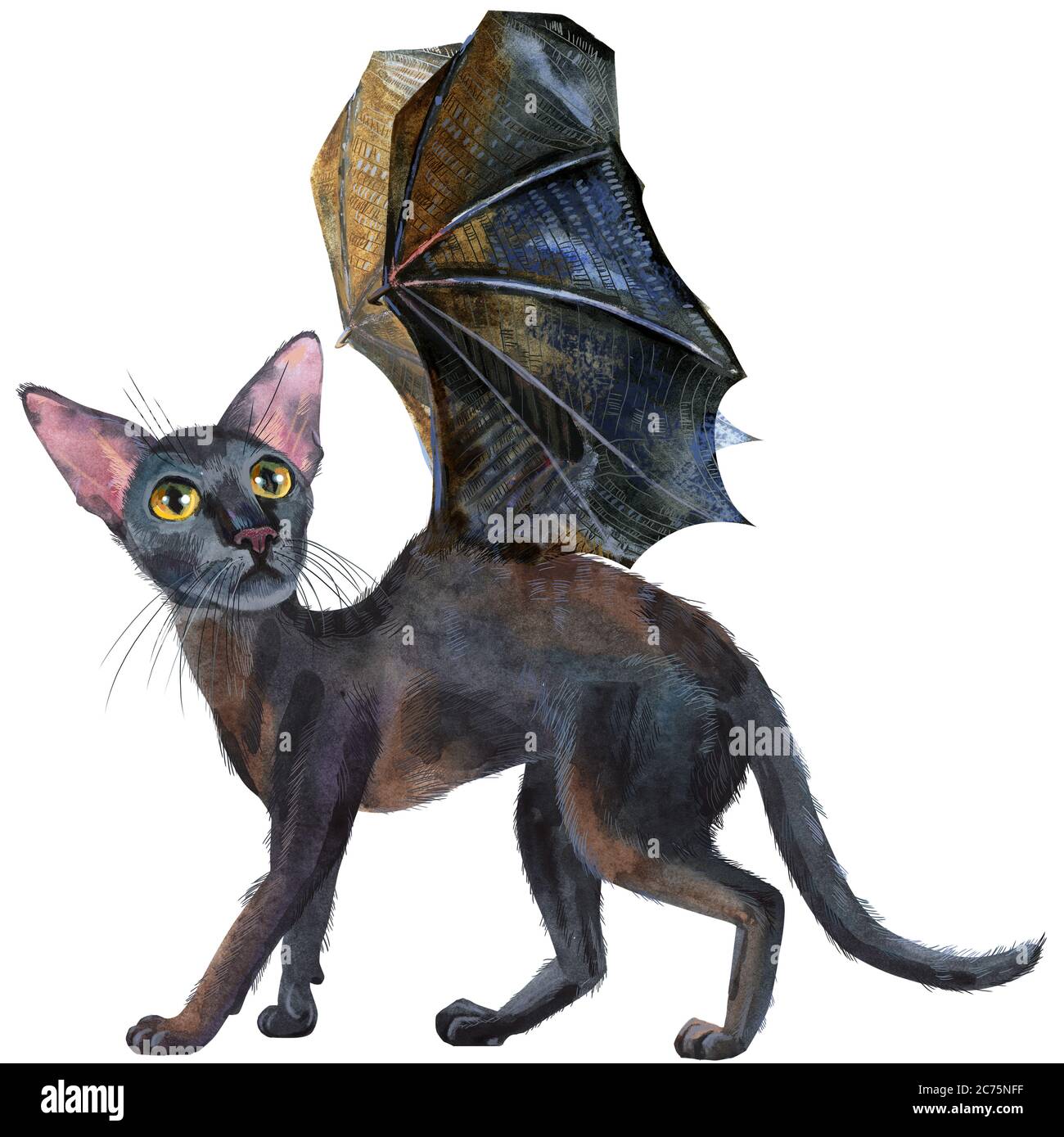 Watercolor oriental cat with bat wings. Hand drawn black short hair pet ...