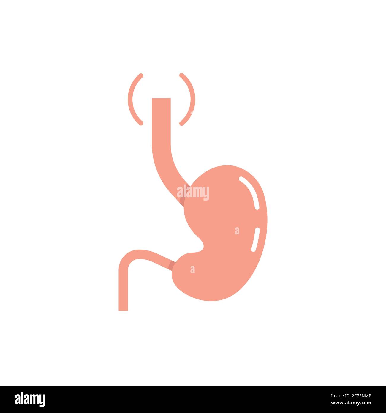 Esophagus vector icon symbol anatomy isolated on white background Stock ...