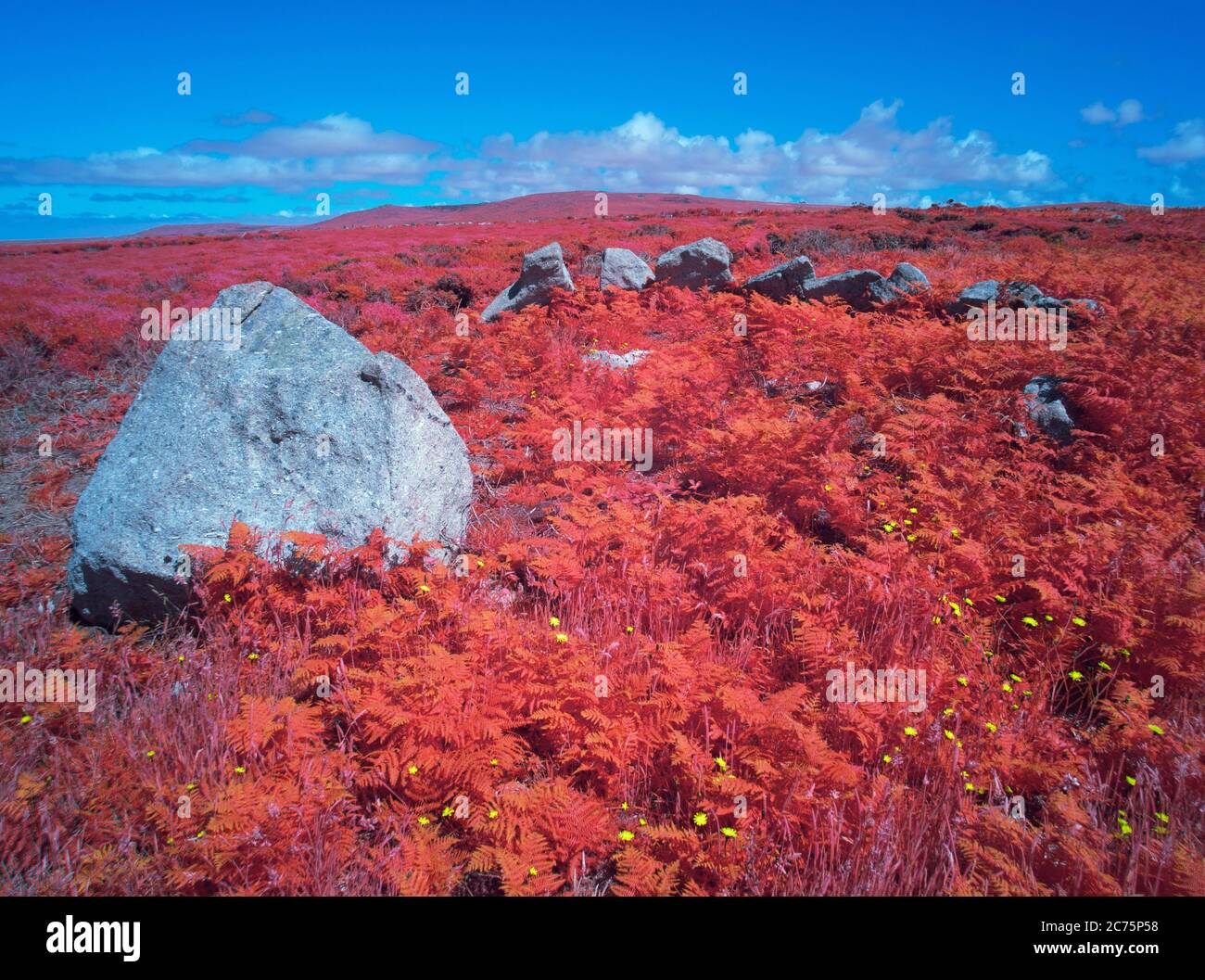 Morvah cornwall hi-res stock photography and images - Alamy